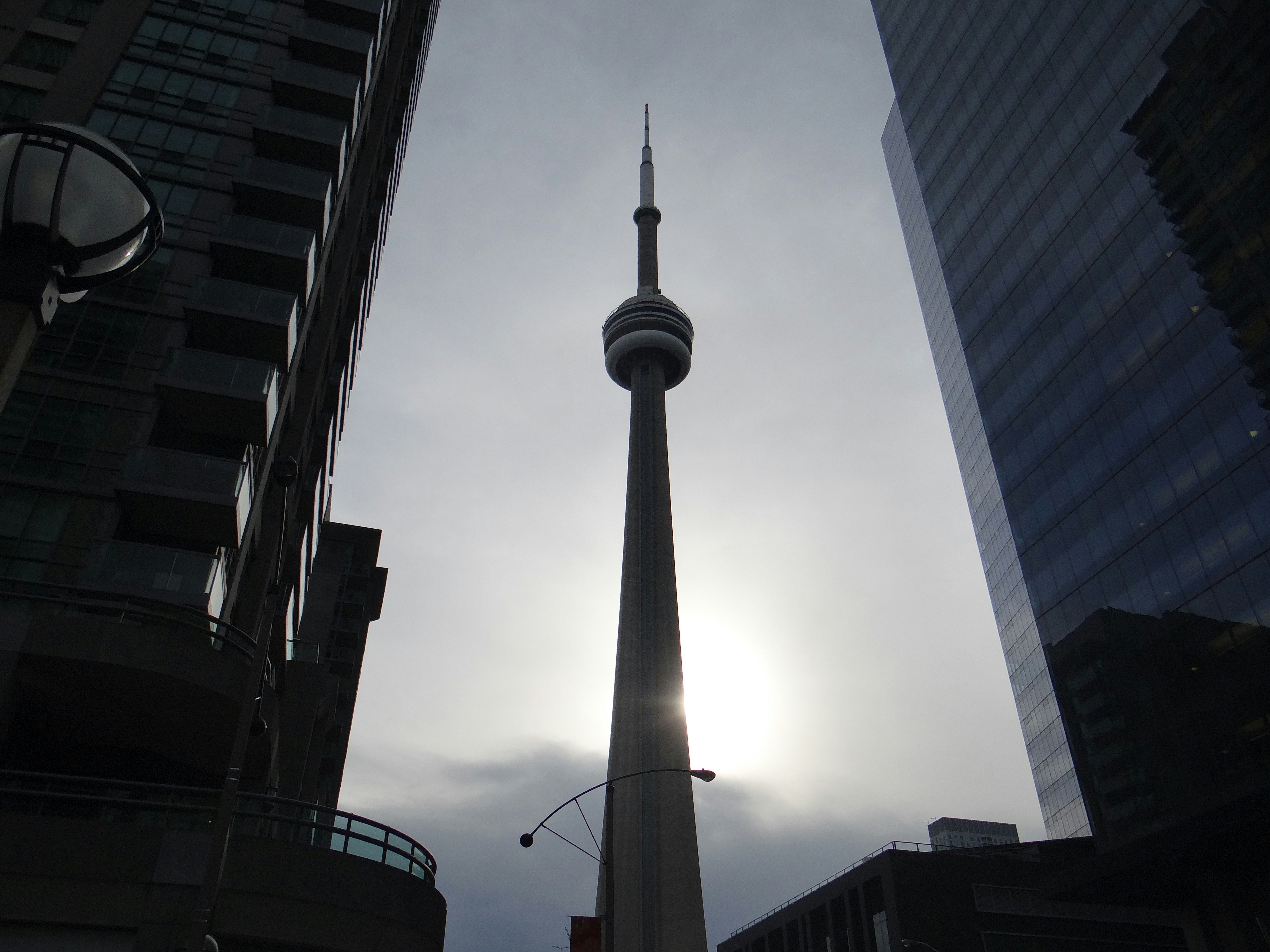 Urban Silhouette: The Tower's Embrace