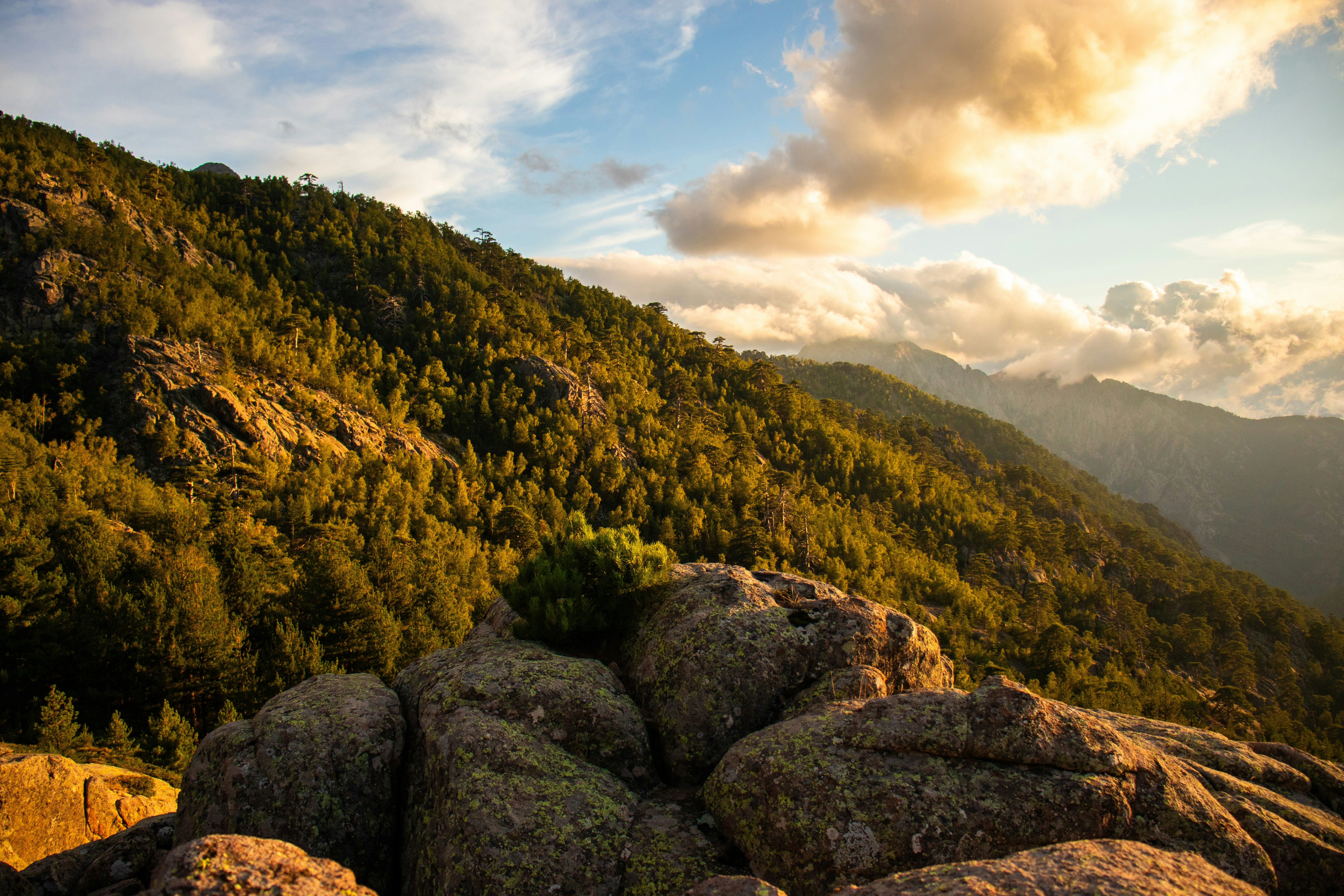 Golden sunlight bathes rugged rocks and lush greenery on a mountainous landscape, highlighting the serene beauty of nature's contours.