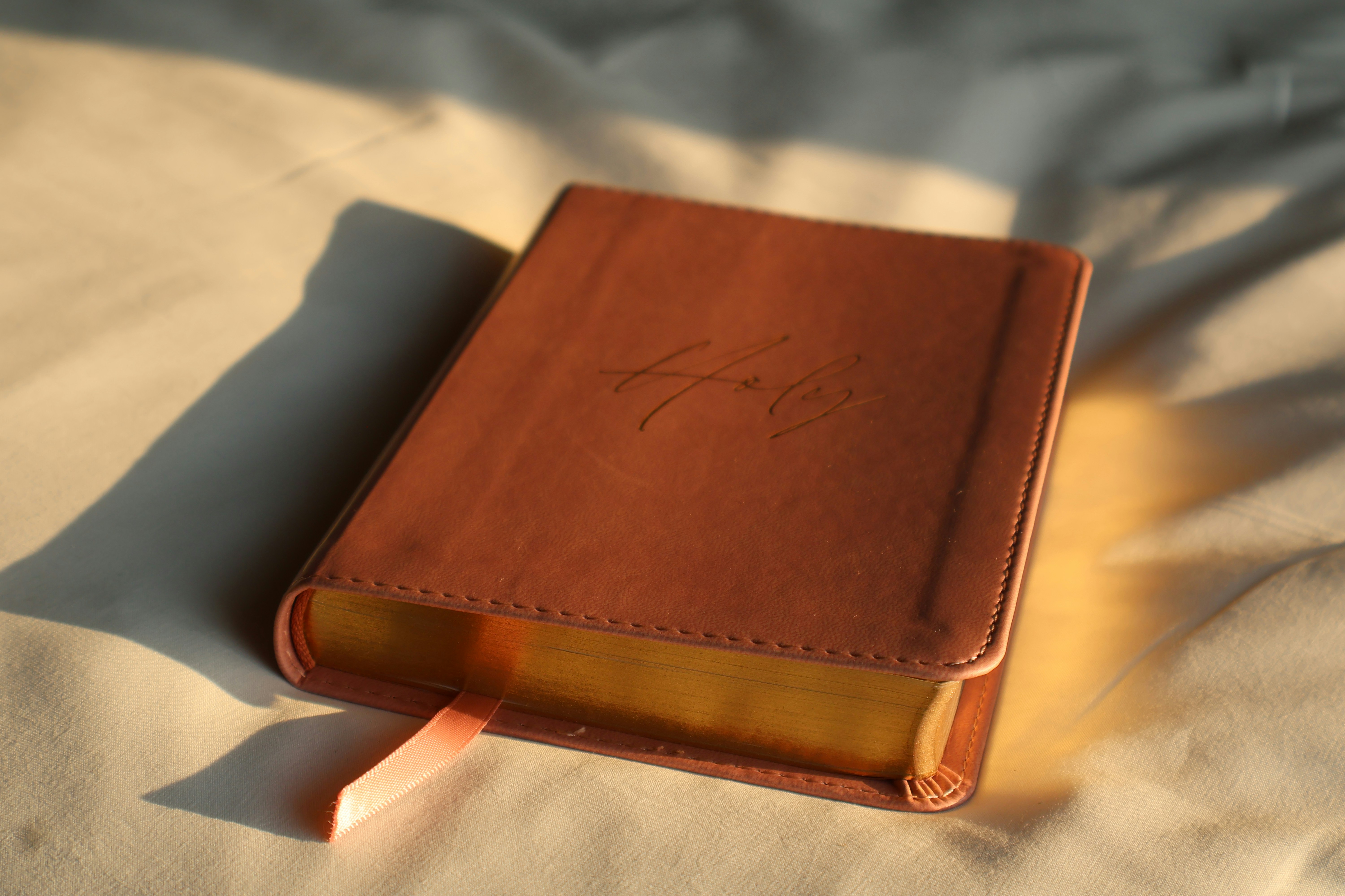 A closed brown leather-bound book with golden pages. photo – Free Book ...