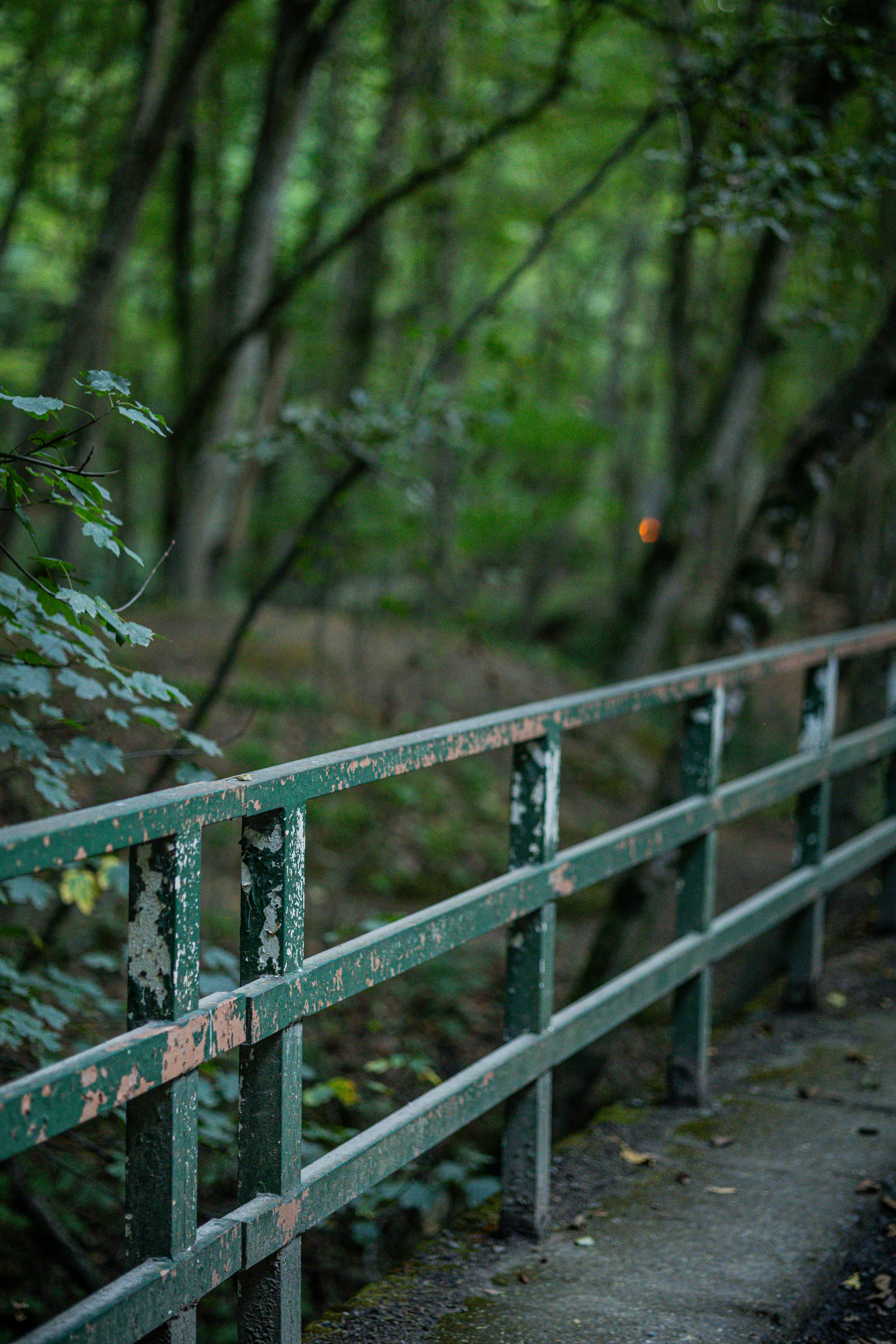 Weathered railing guiding through a lush, green forest, hinting at a tranquil pathway ahead.