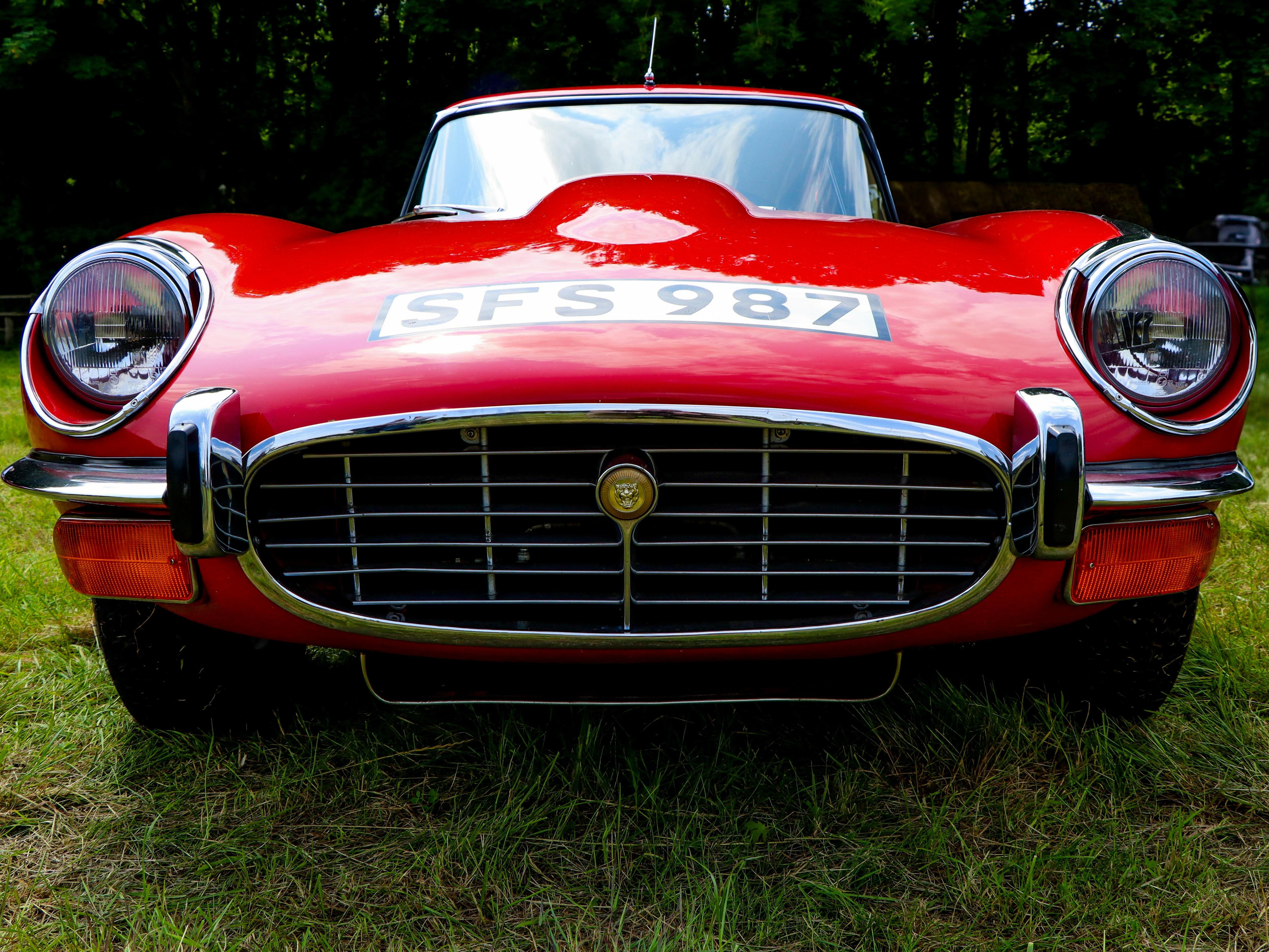 Vintage Elegance: The Allure of a Classic Sports Car