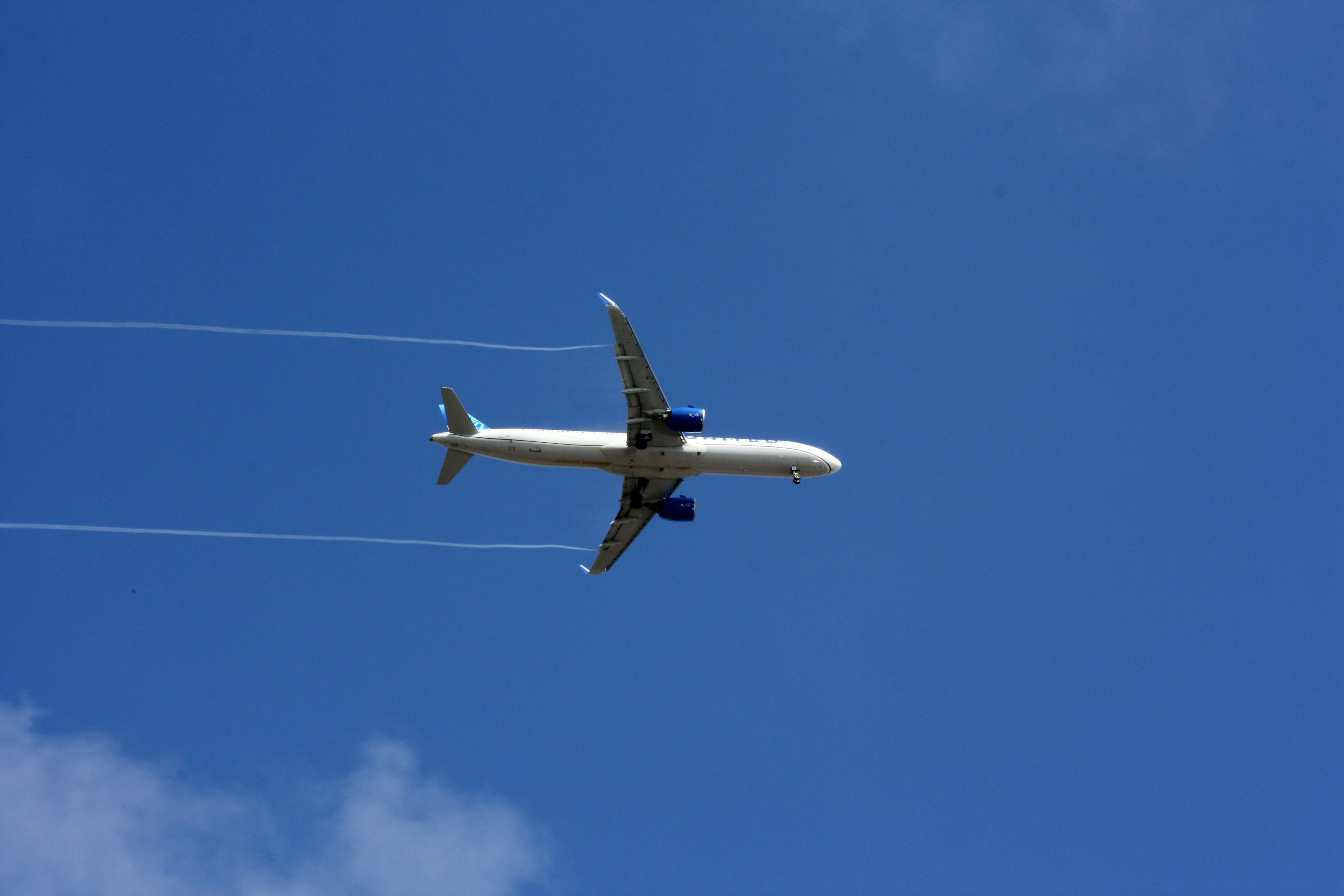 Soaring Through the Sky: A Journey Above