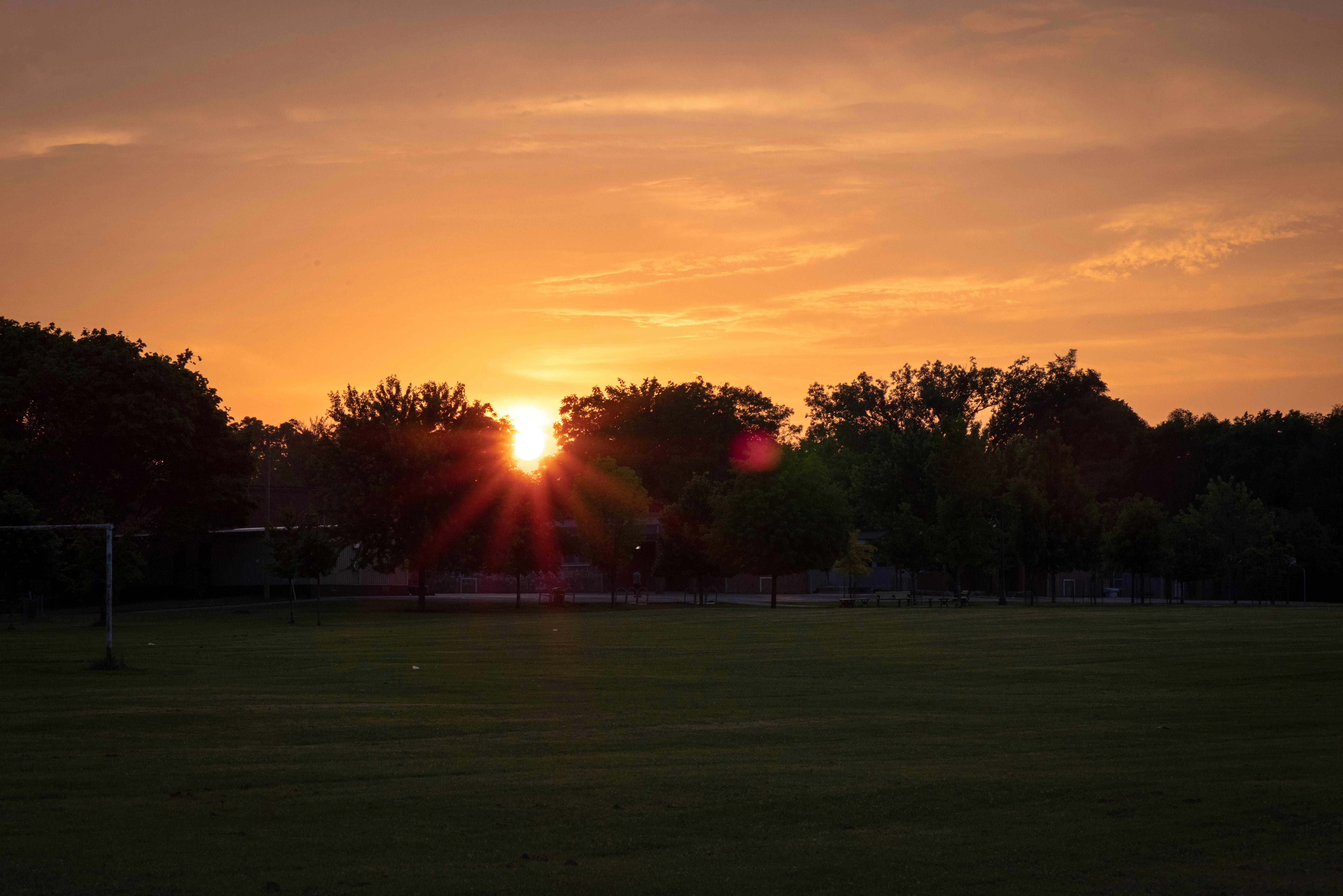 Sunset over a grassy field with trees