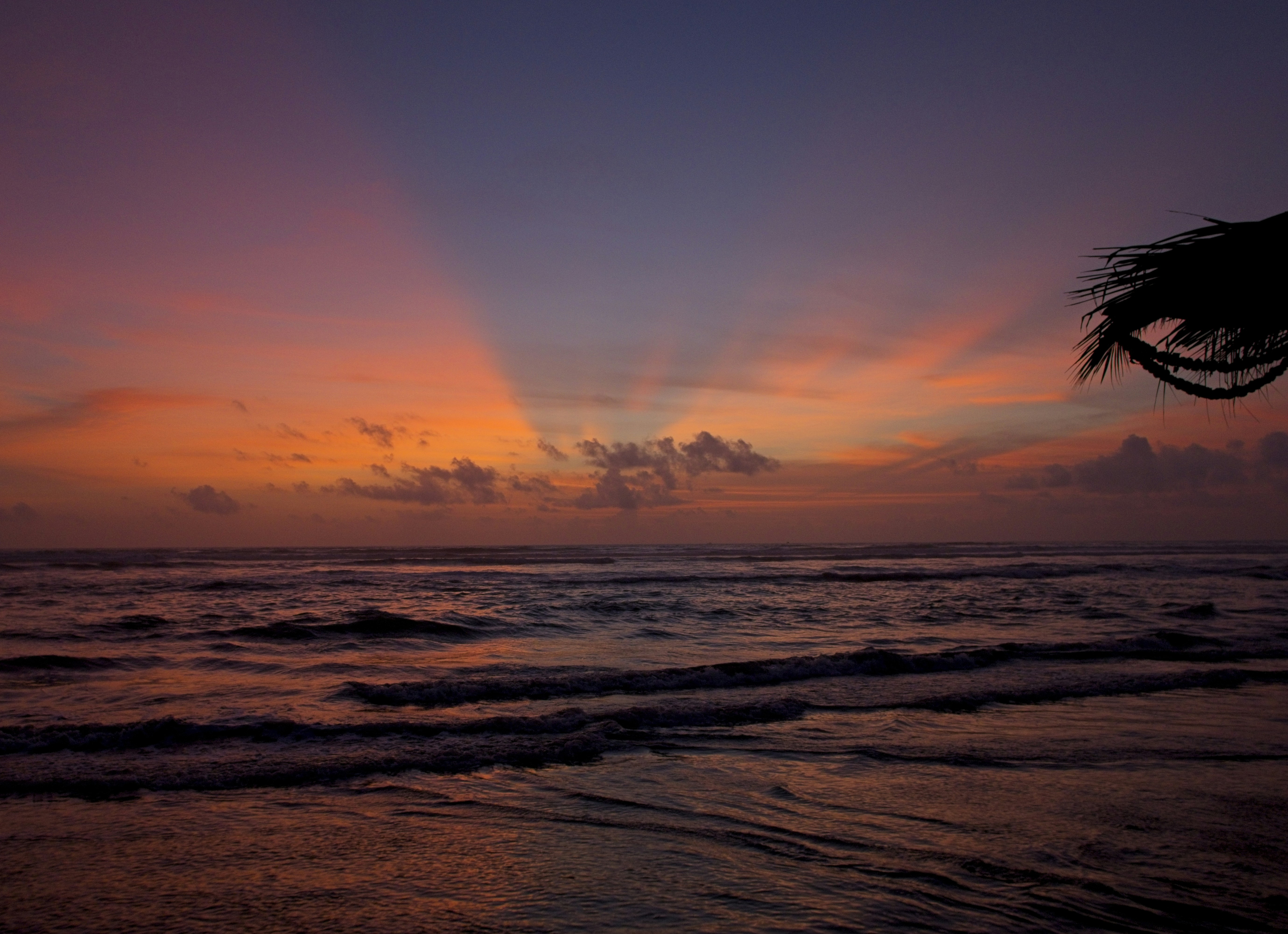 Vibrant sunset casting warm hues over the ocean waves, with soft clouds reflecting the fading light. A palm frond adds a tropical touch to the scene.