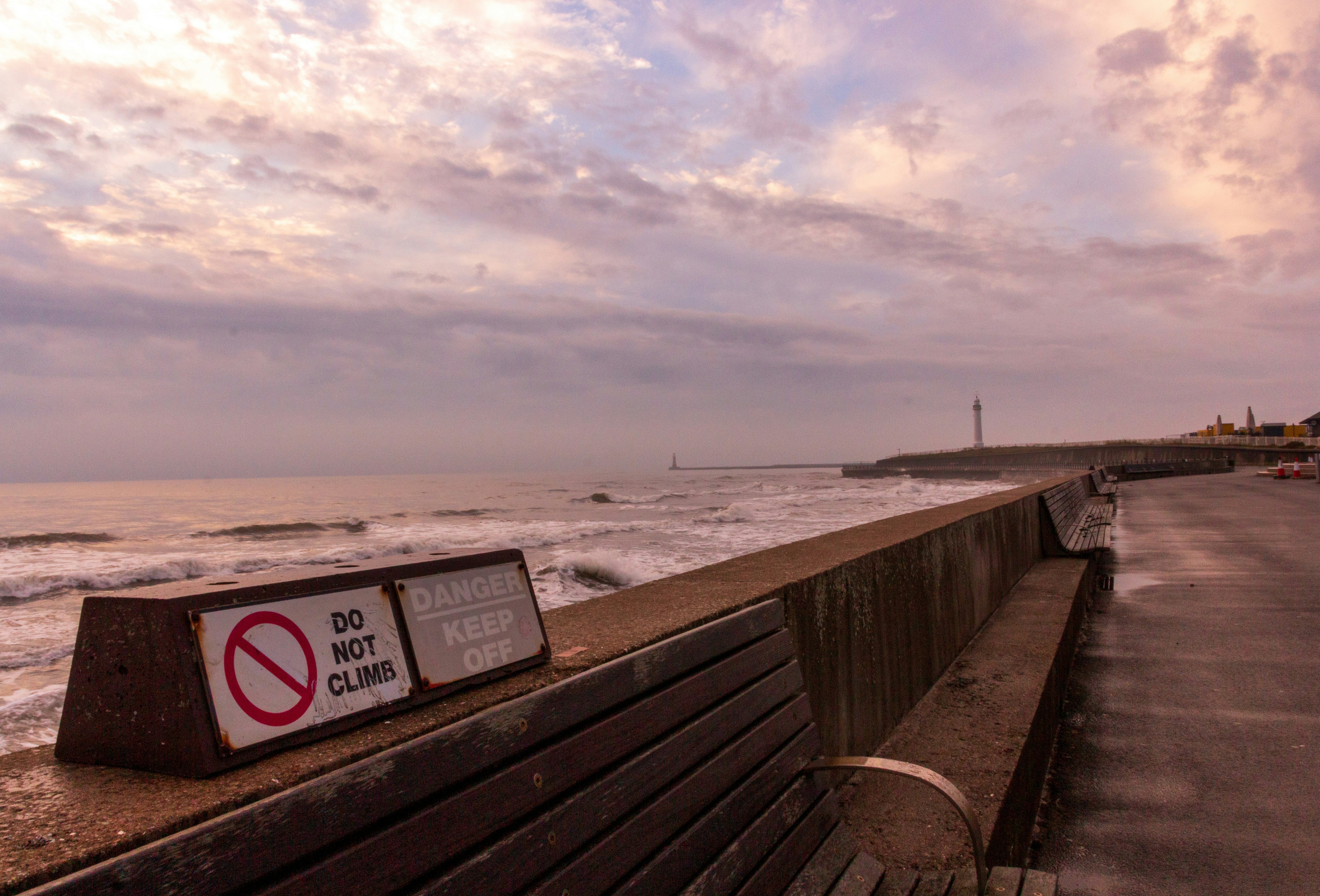 Guardians of the Shoreline: A Cautionary Tale