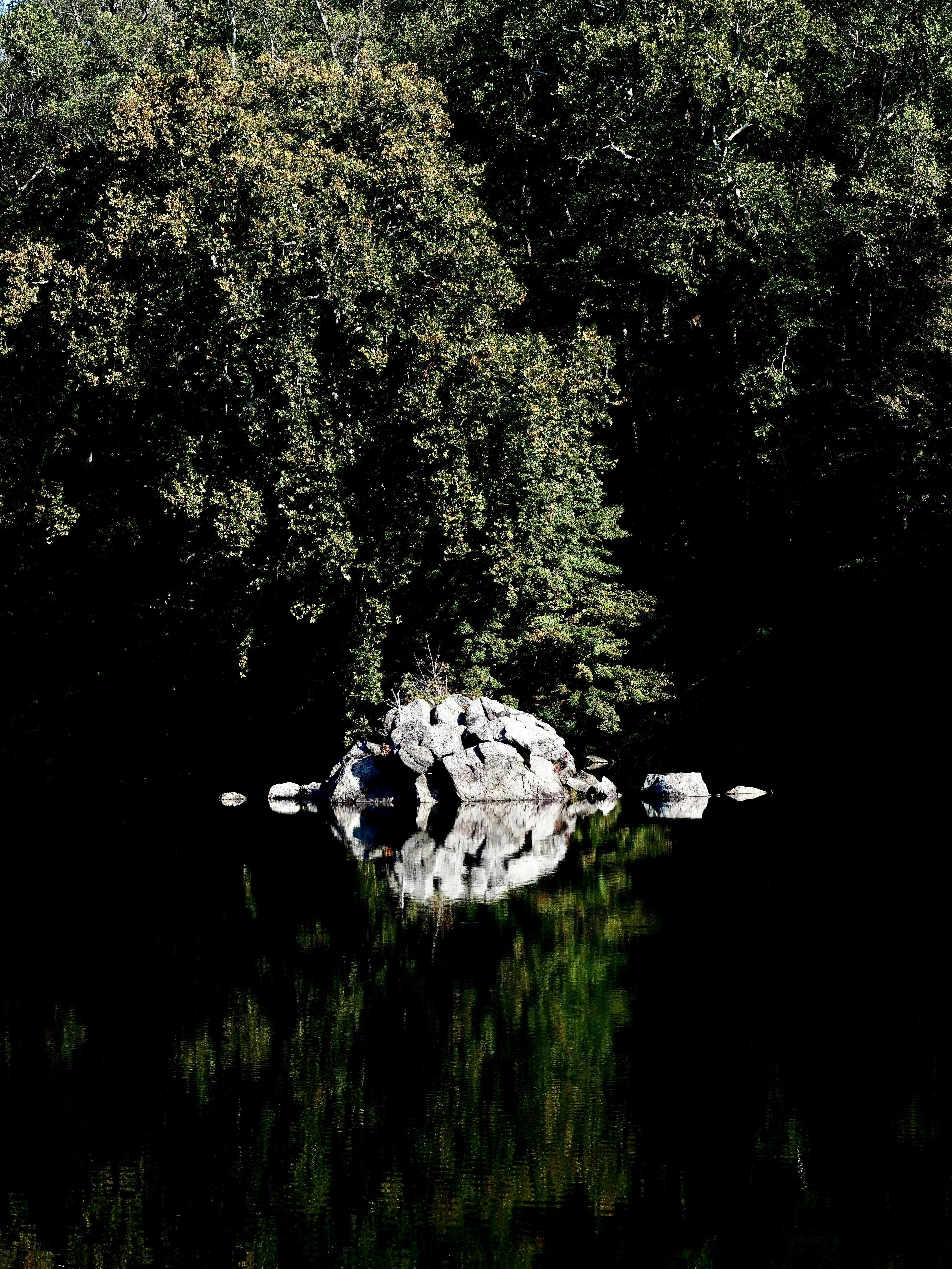 Reflections of Tranquility