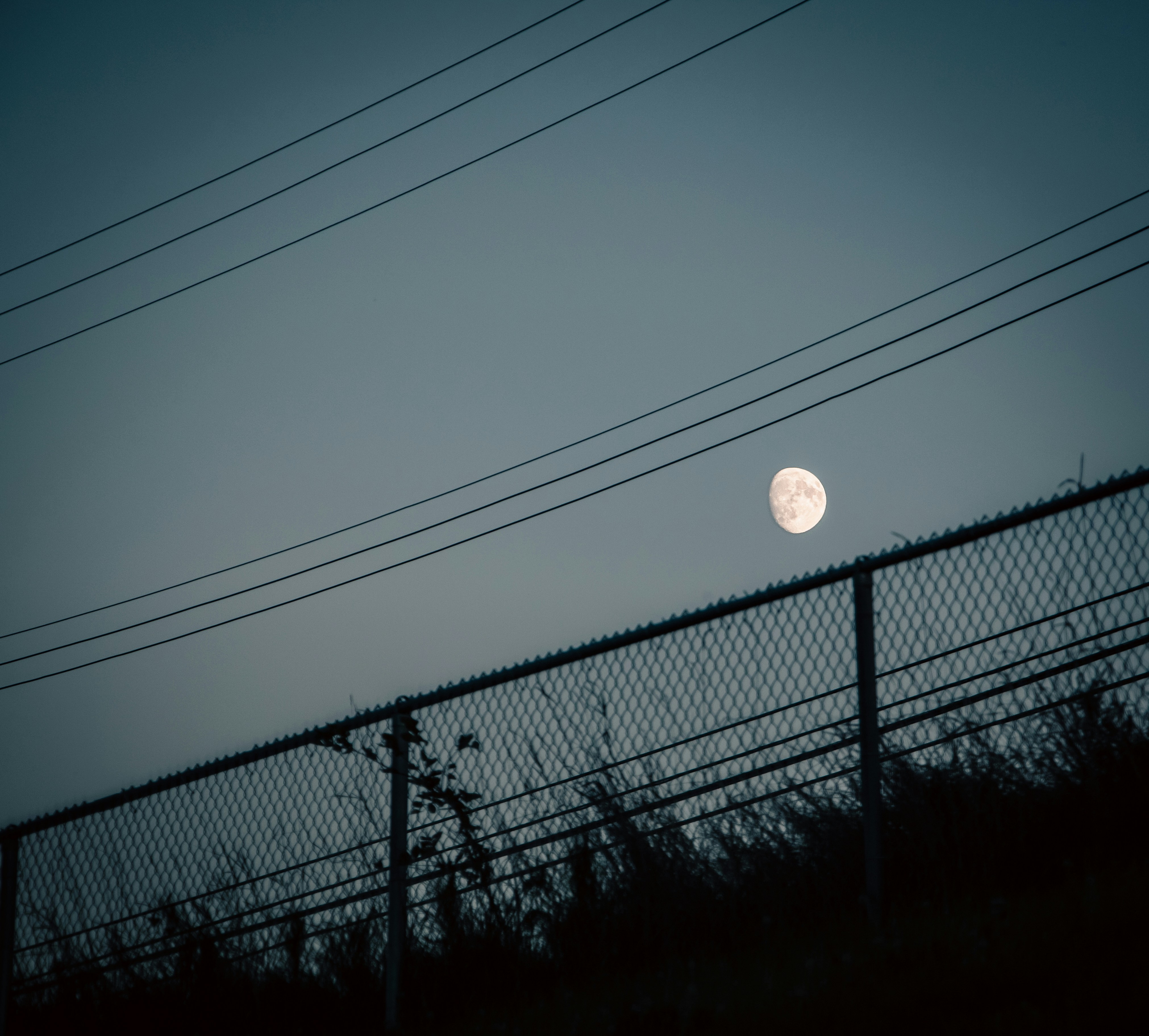 Lunar Serenity Beyond the Fence