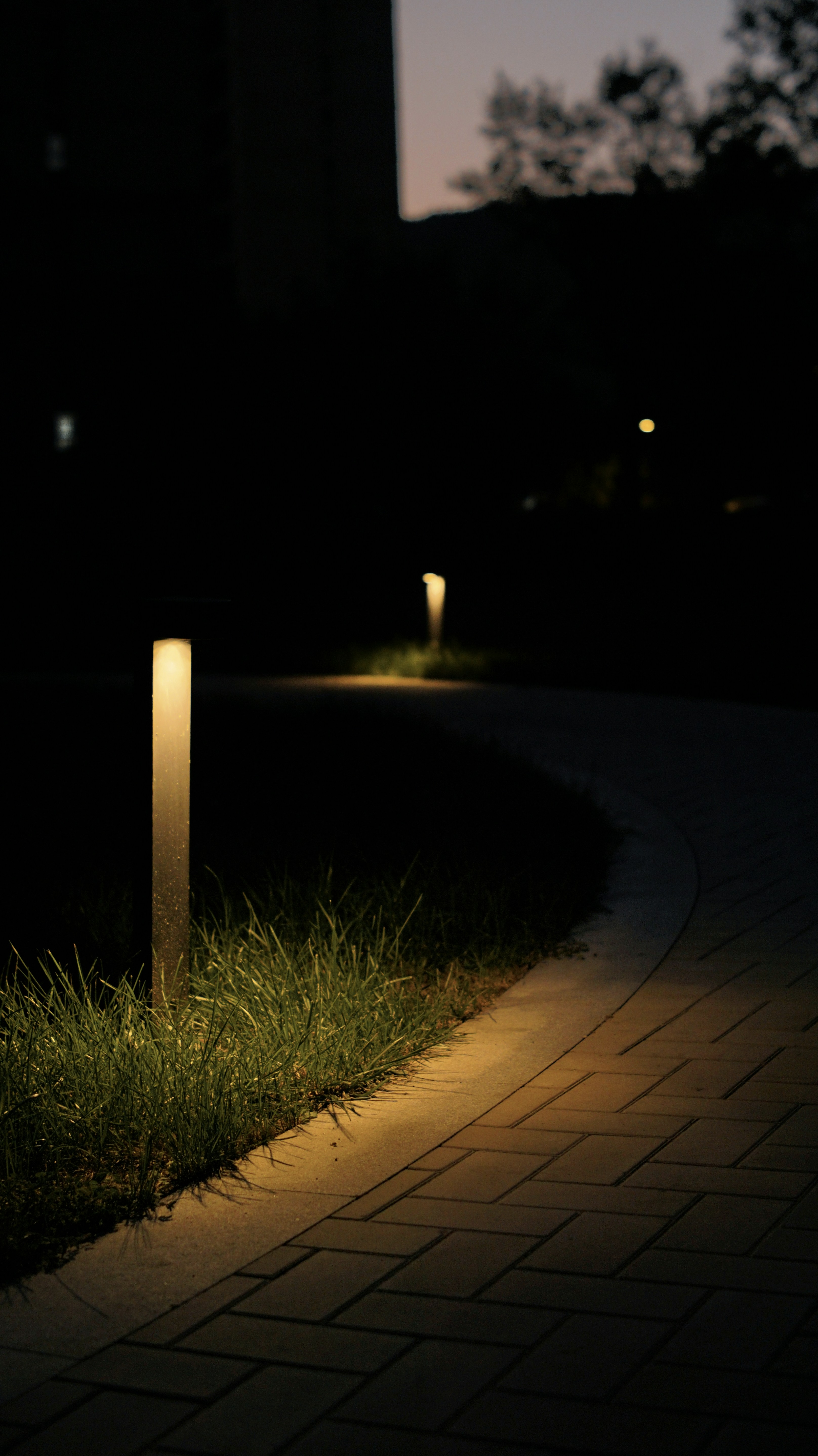 Illuminated Pathway: A Journey into the Twilight