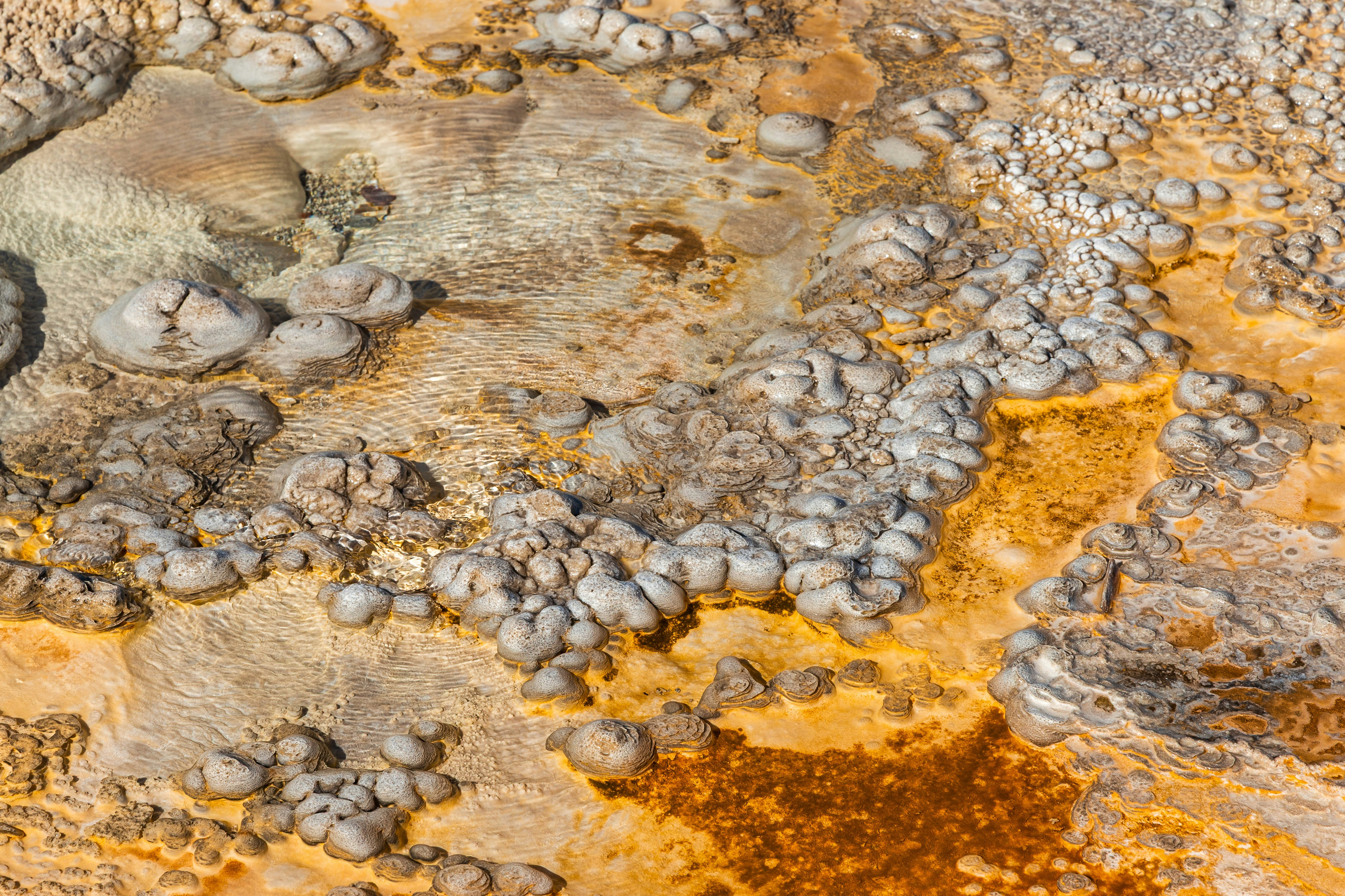 Colorful geothermal formations with intricate textures and patterns in a natural landscape. The image showcases a unique interplay of minerals and water.