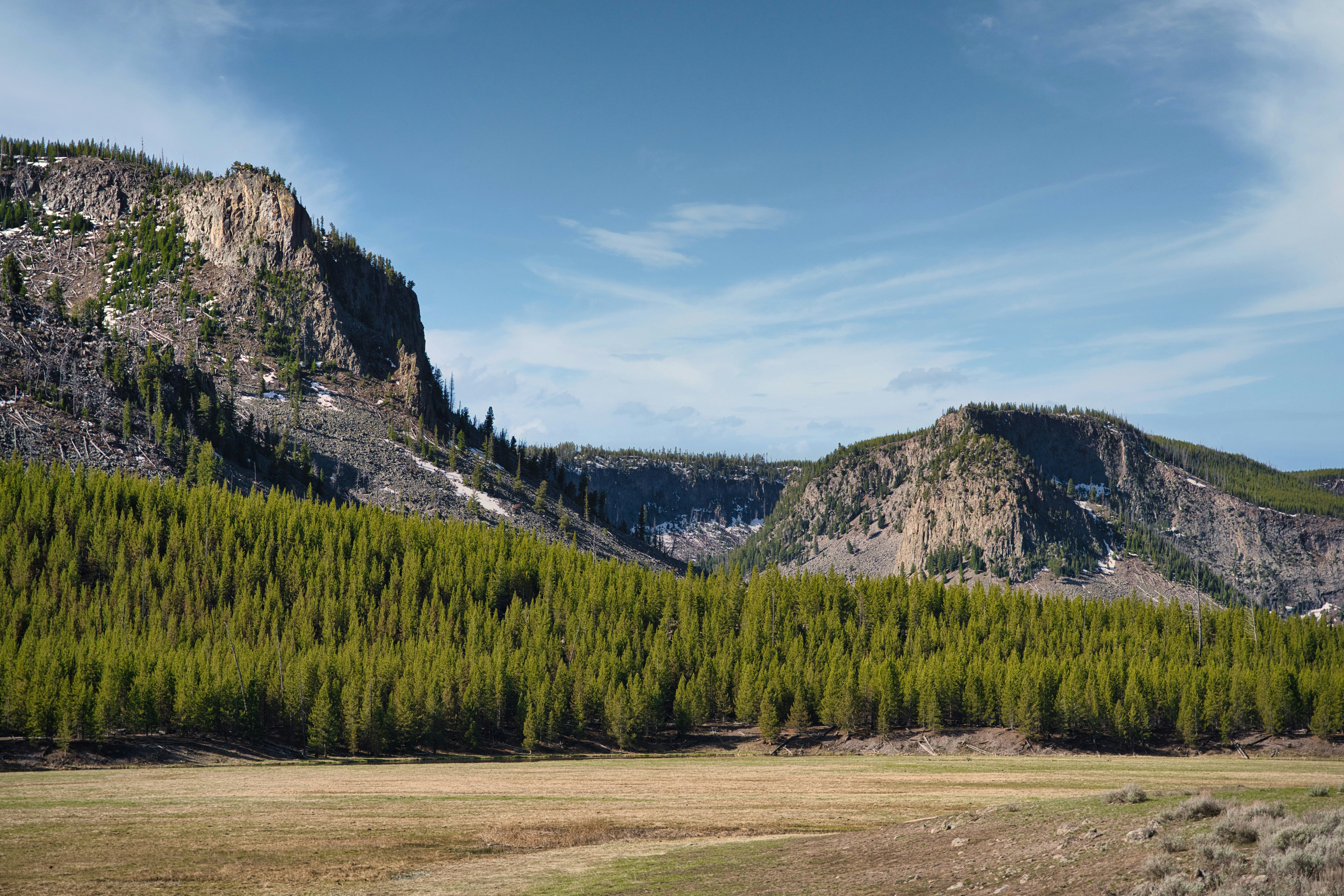 Lush green pine trees blanket the valley floor, leading up to rugged mountain peaks under a clear blue sky. The landscape showcases the serene beauty of nature's untouched splendor.