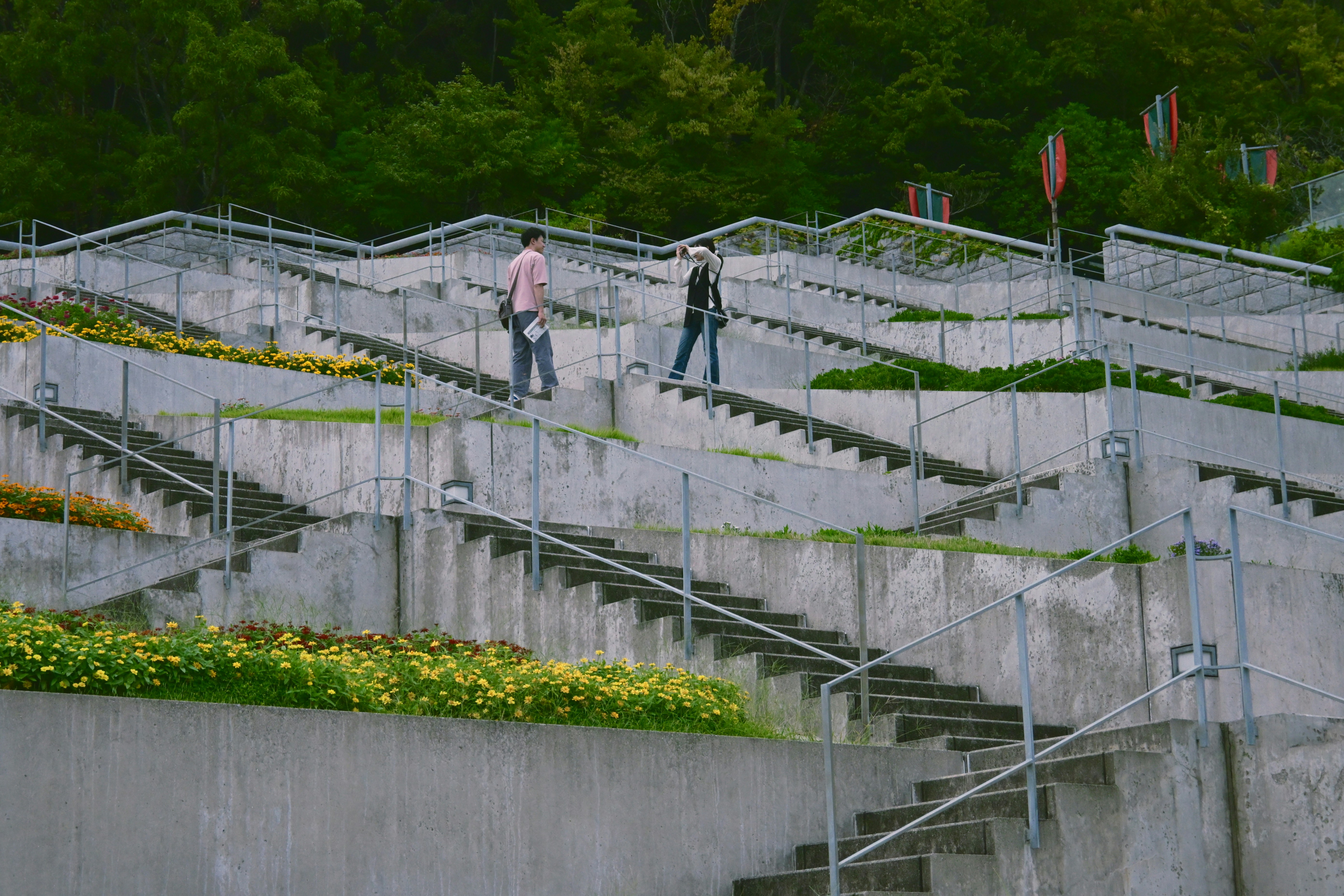 Ascent Through Floral Steps