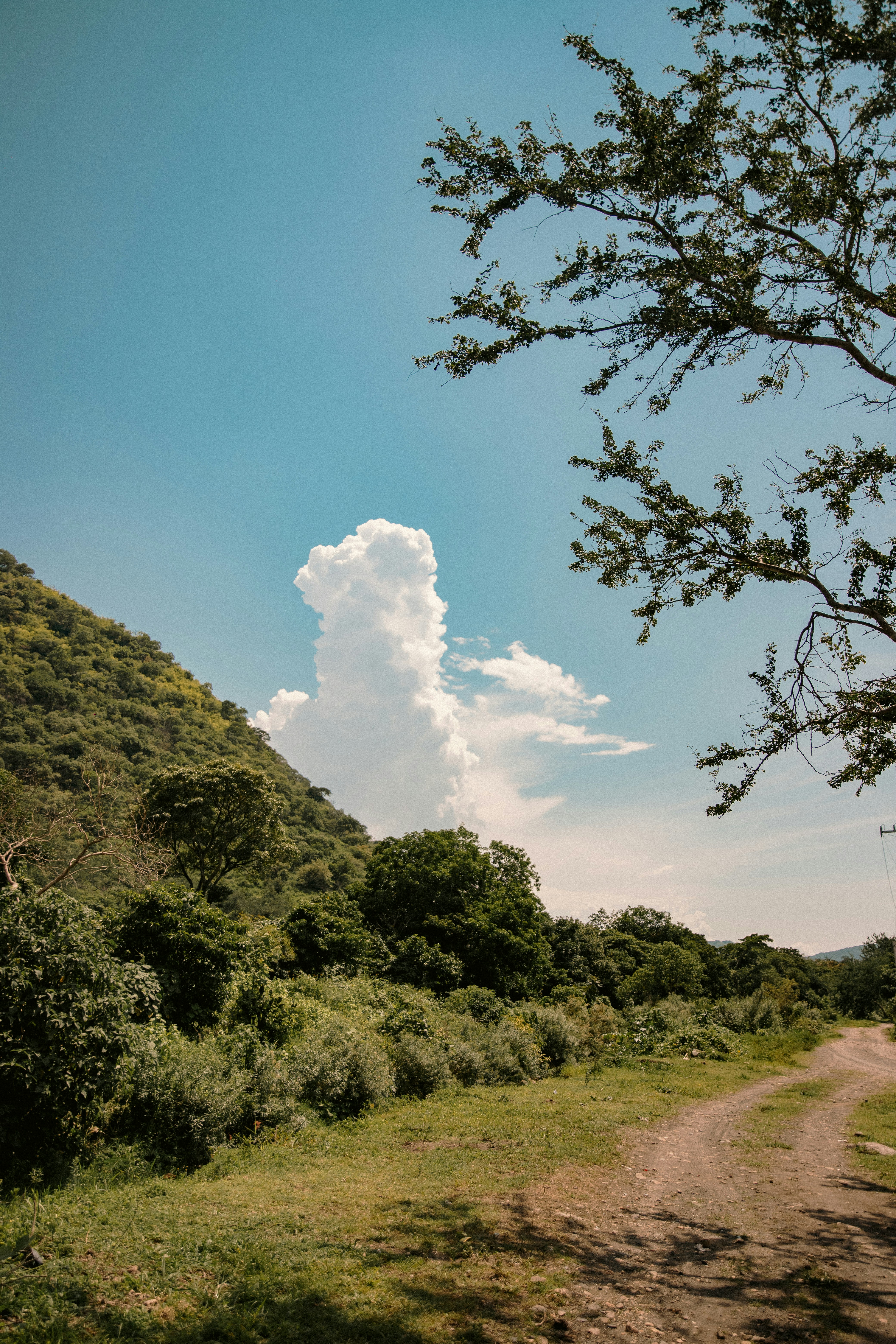 Whispers of Nature: A Serene Landscape