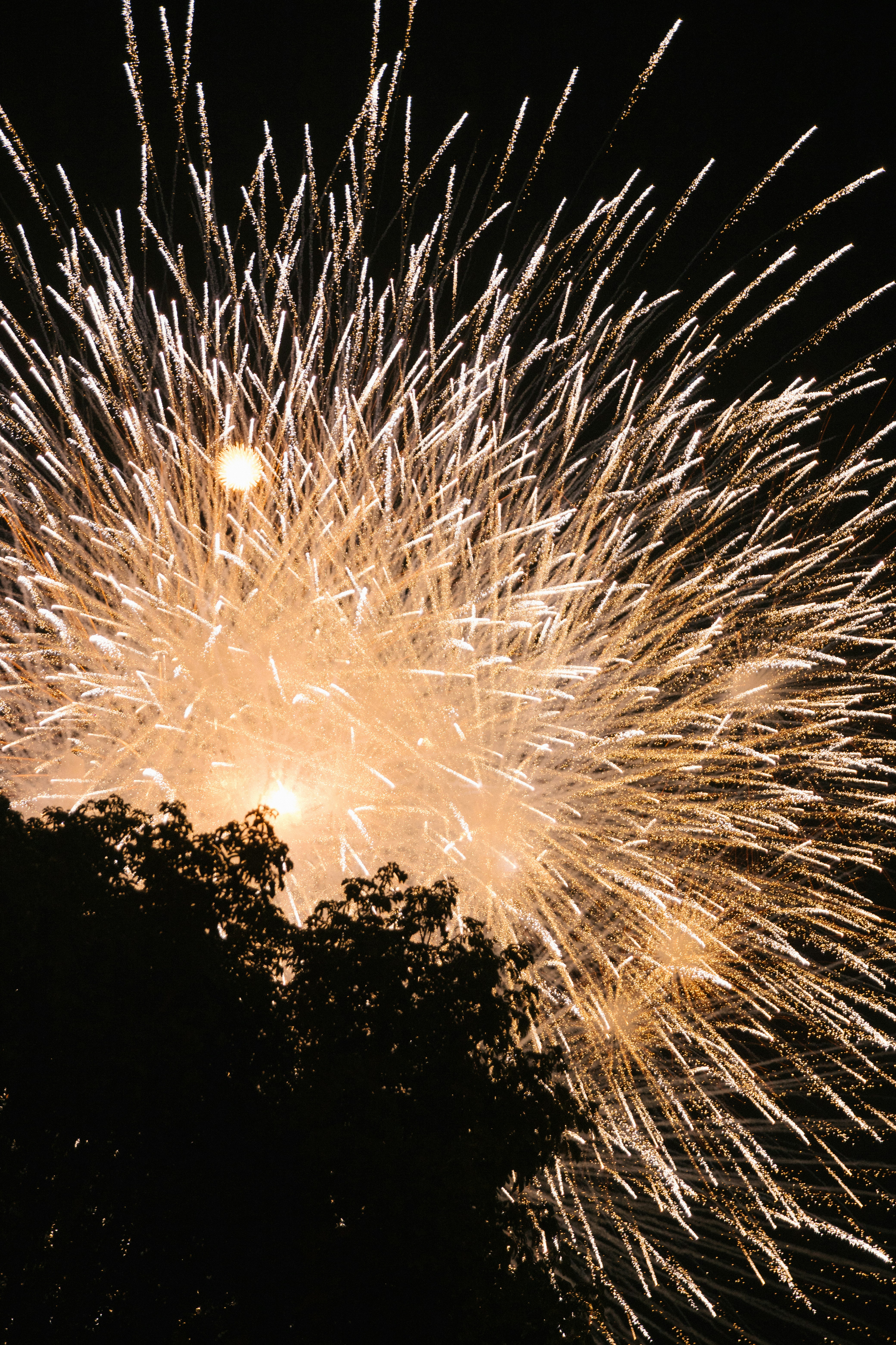Explosive Elegance: A Night Sky Ignited