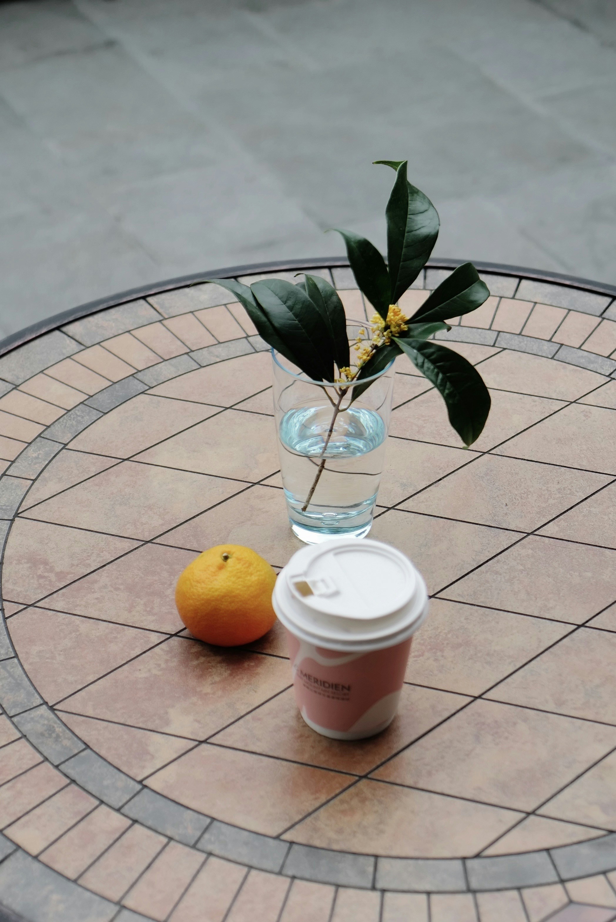 A Serene Moment of Refreshment