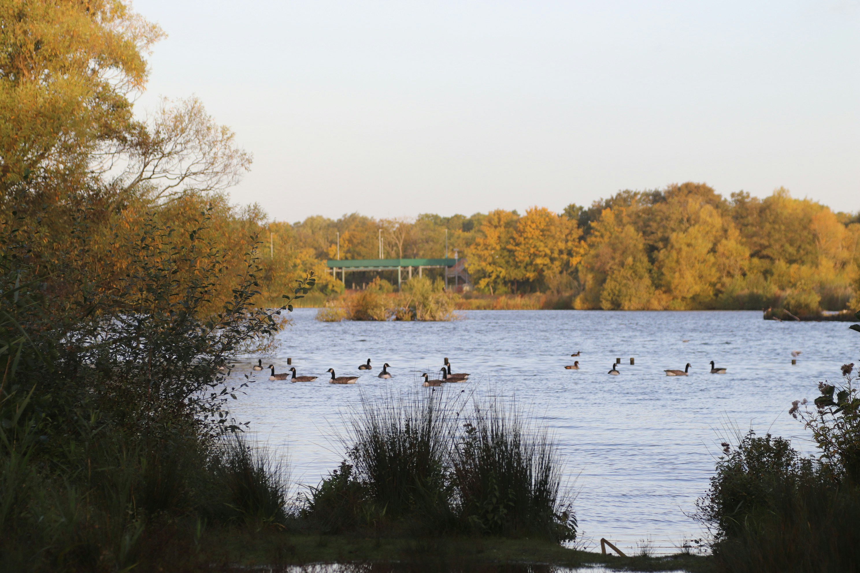 Autumn Serenity on the Water