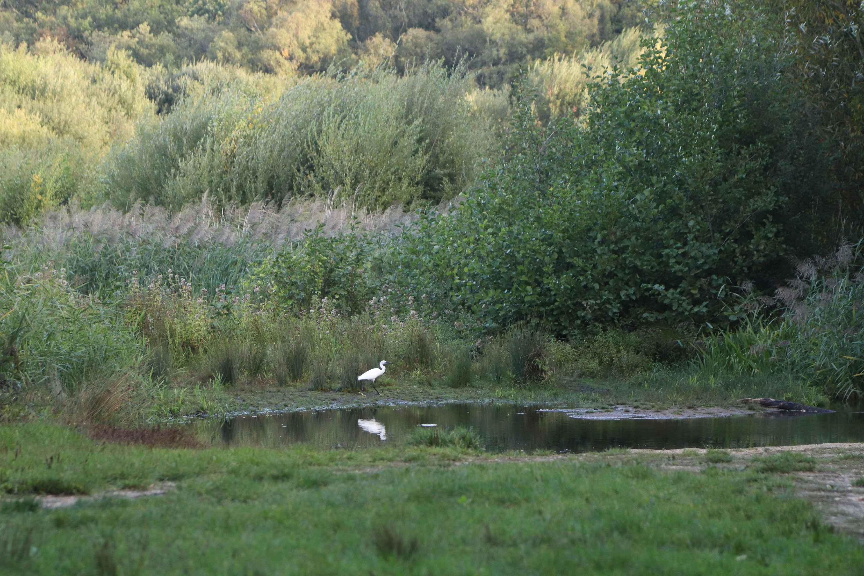 Photo by Tanya Barrow with Canon EOS 77D