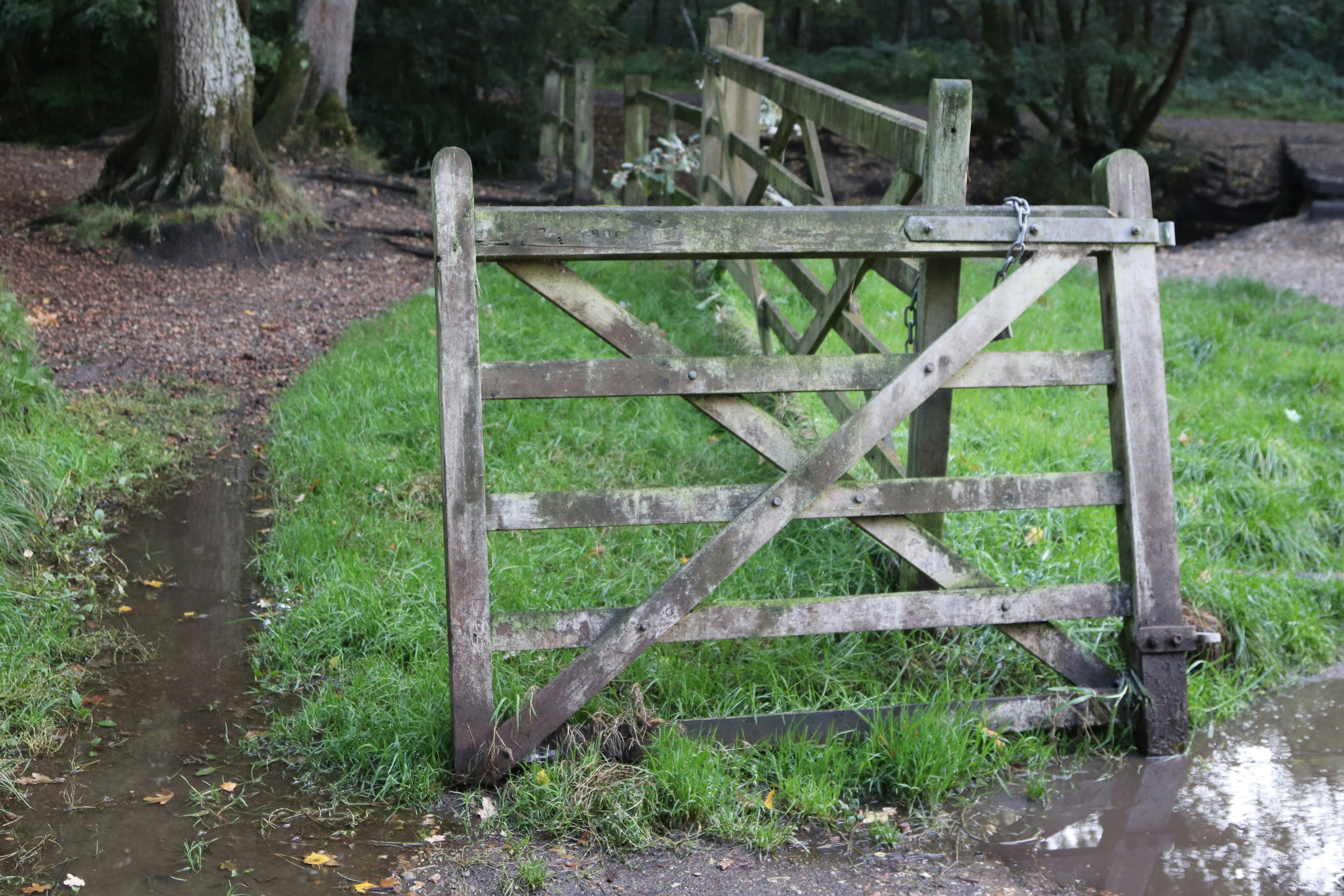 Weathered wooden gate standing at the edge of a grassy path, surrounded by lush greenery and soft earth tones.