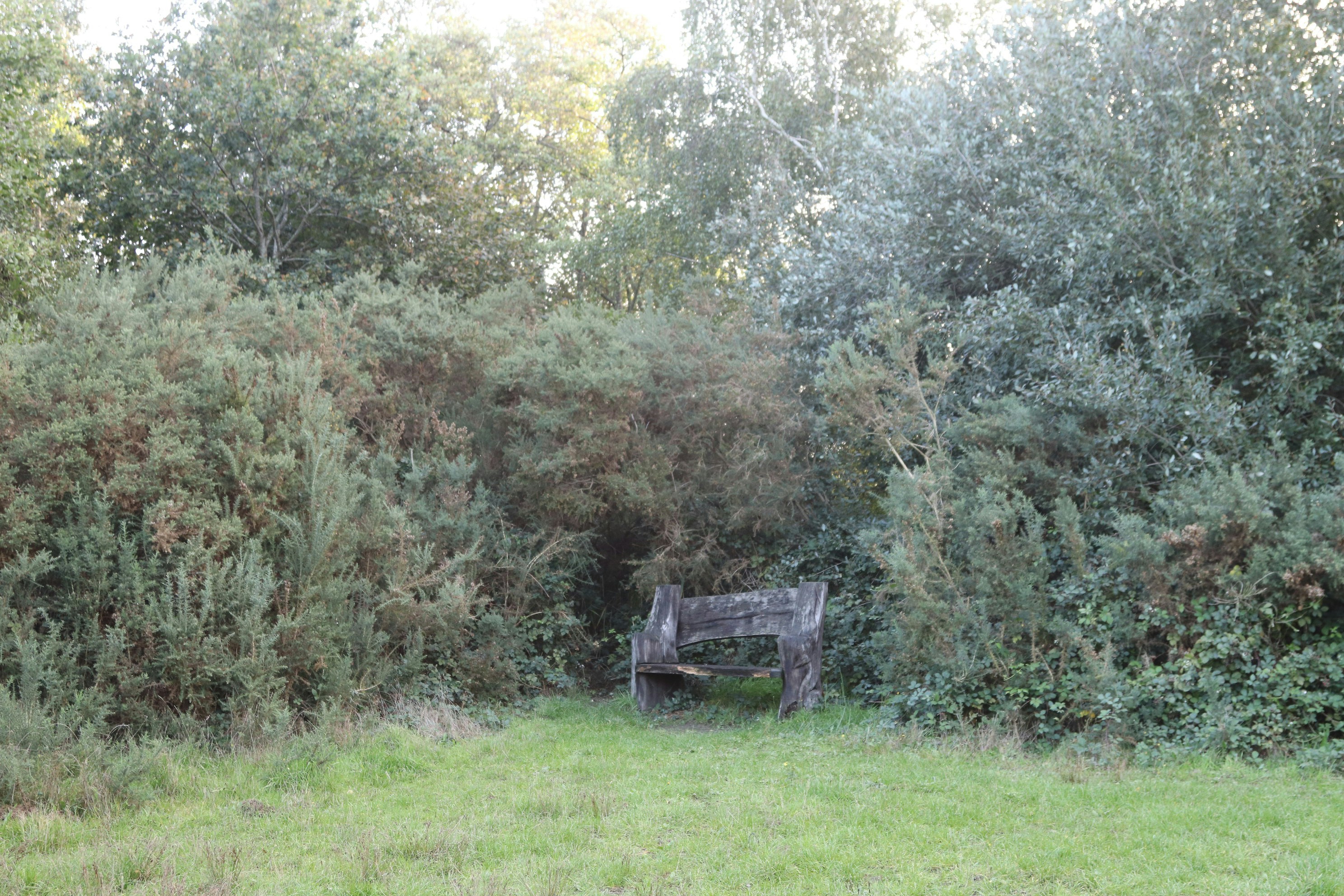 Whispers of Nature: A Hidden Retreat