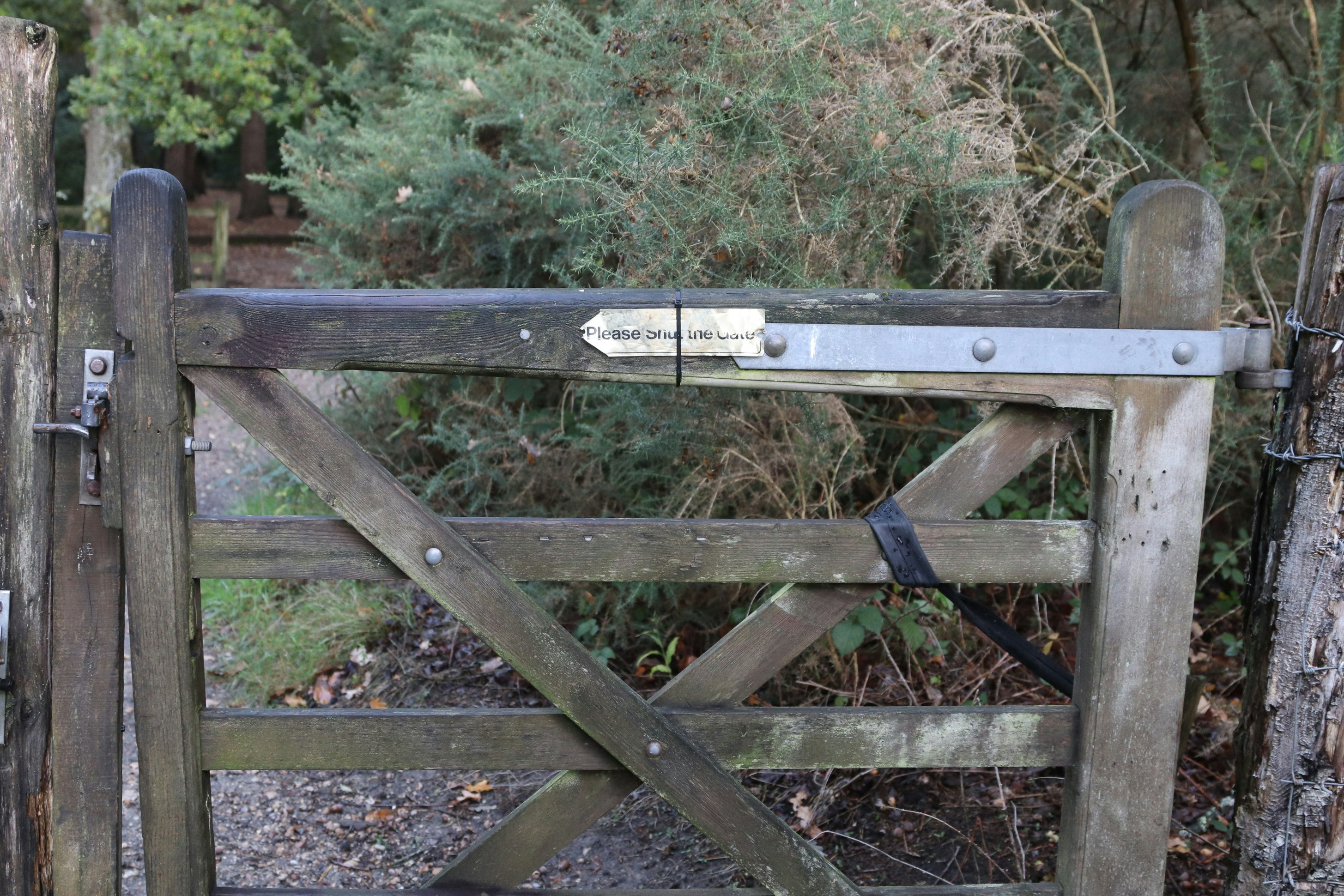 Rustic Entrance: A Gateway to Nature's Serenity