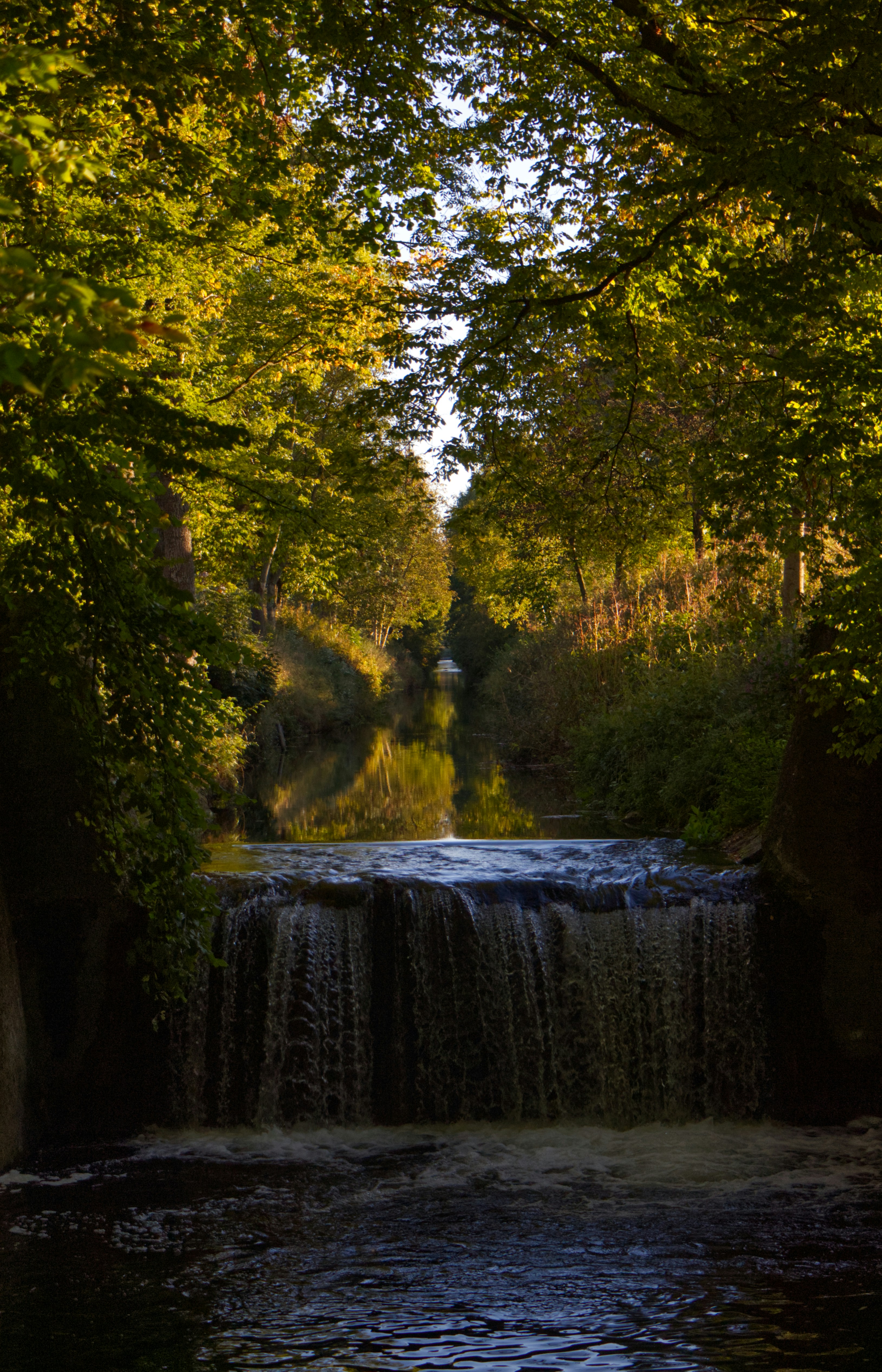 Dappled Cascade: Sunlit Waterfall Between Emerald Canopies