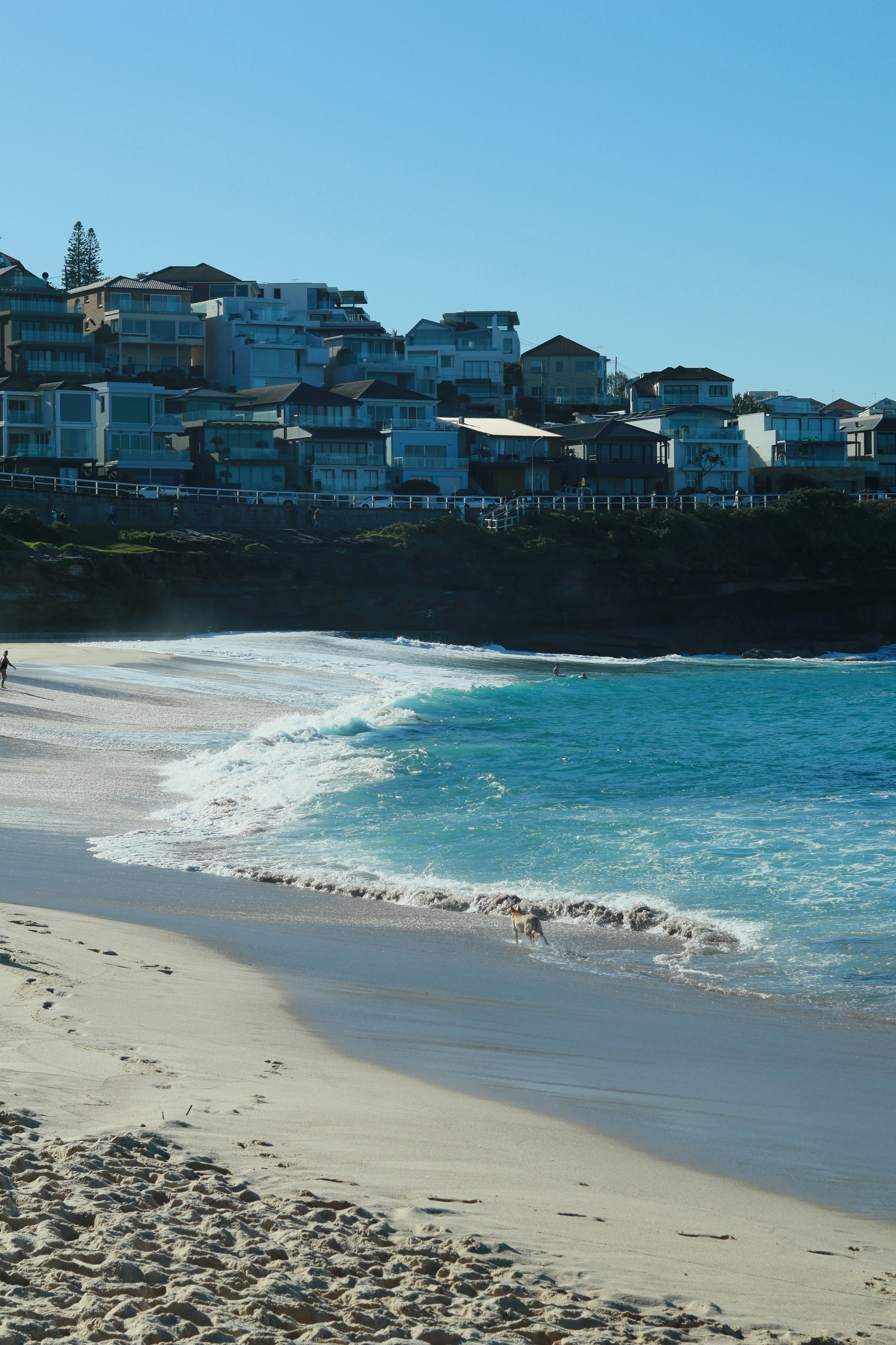 Coastal Serenity: A Glimpse of Beachside Life