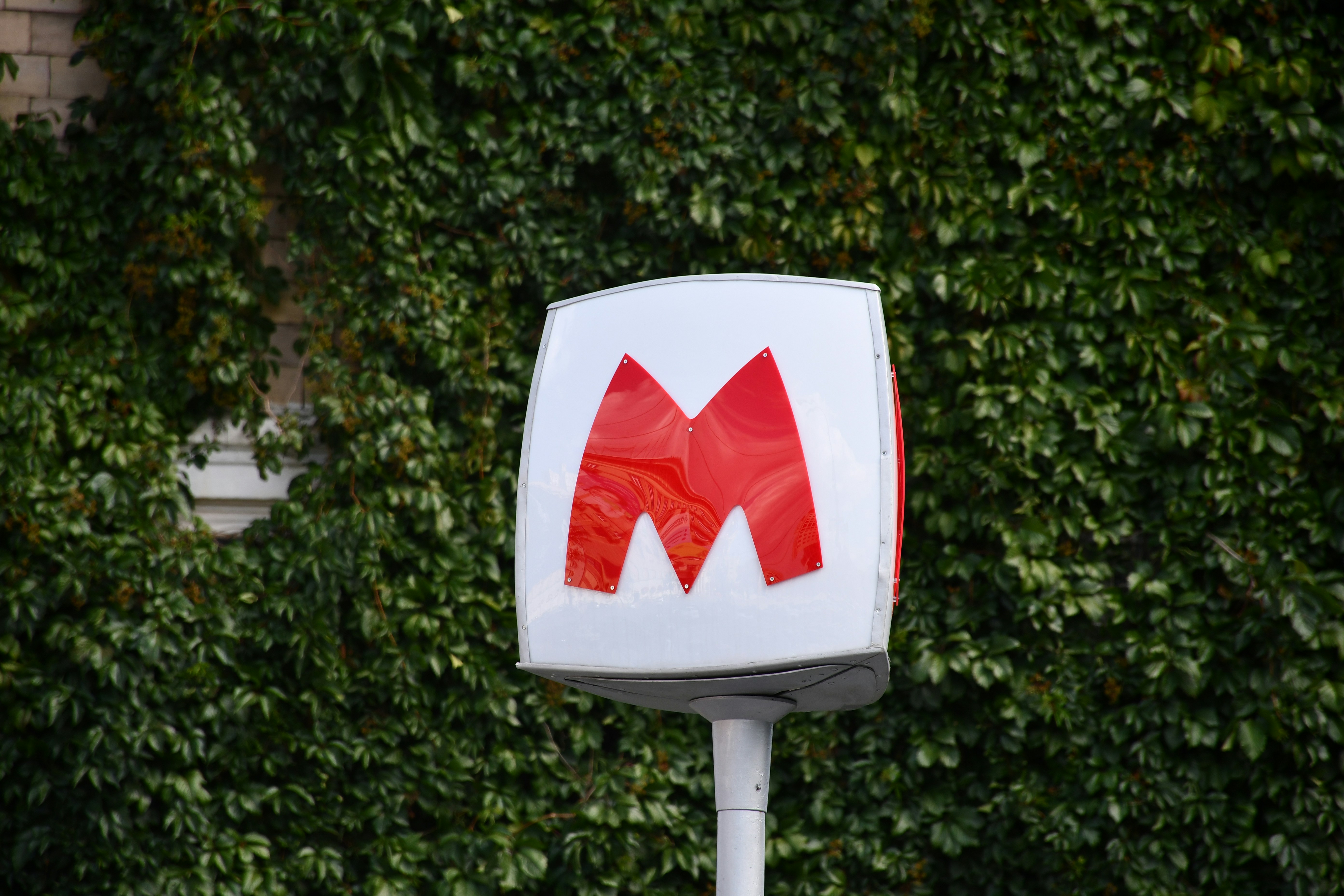 Crimson M on a Mossy Stage: Metro Sign Amid Ivy