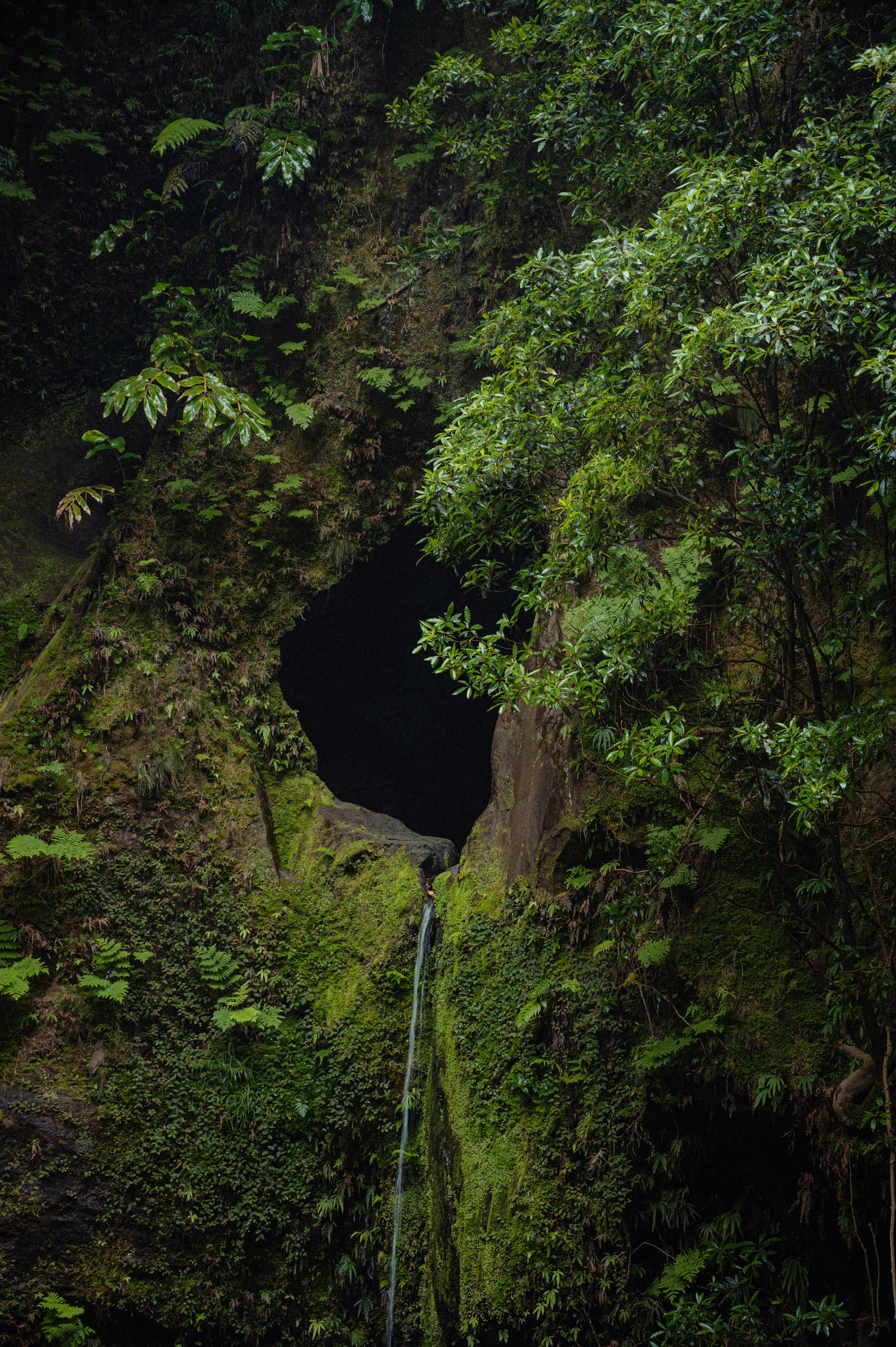 Waterfall cascading into a dark cave entrance overgrown with moss.