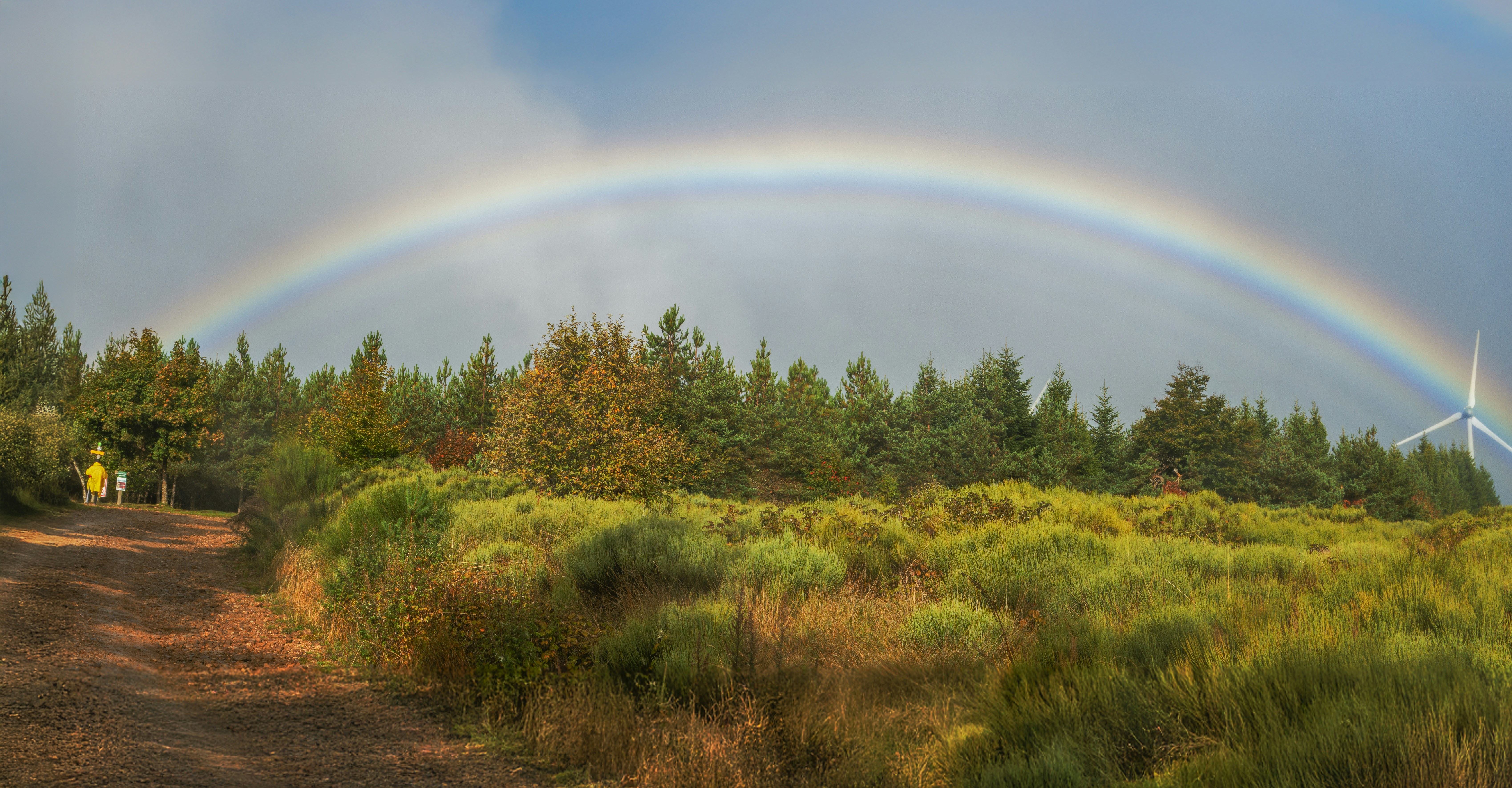 Whispers of Nature Beneath a Colorful Arc