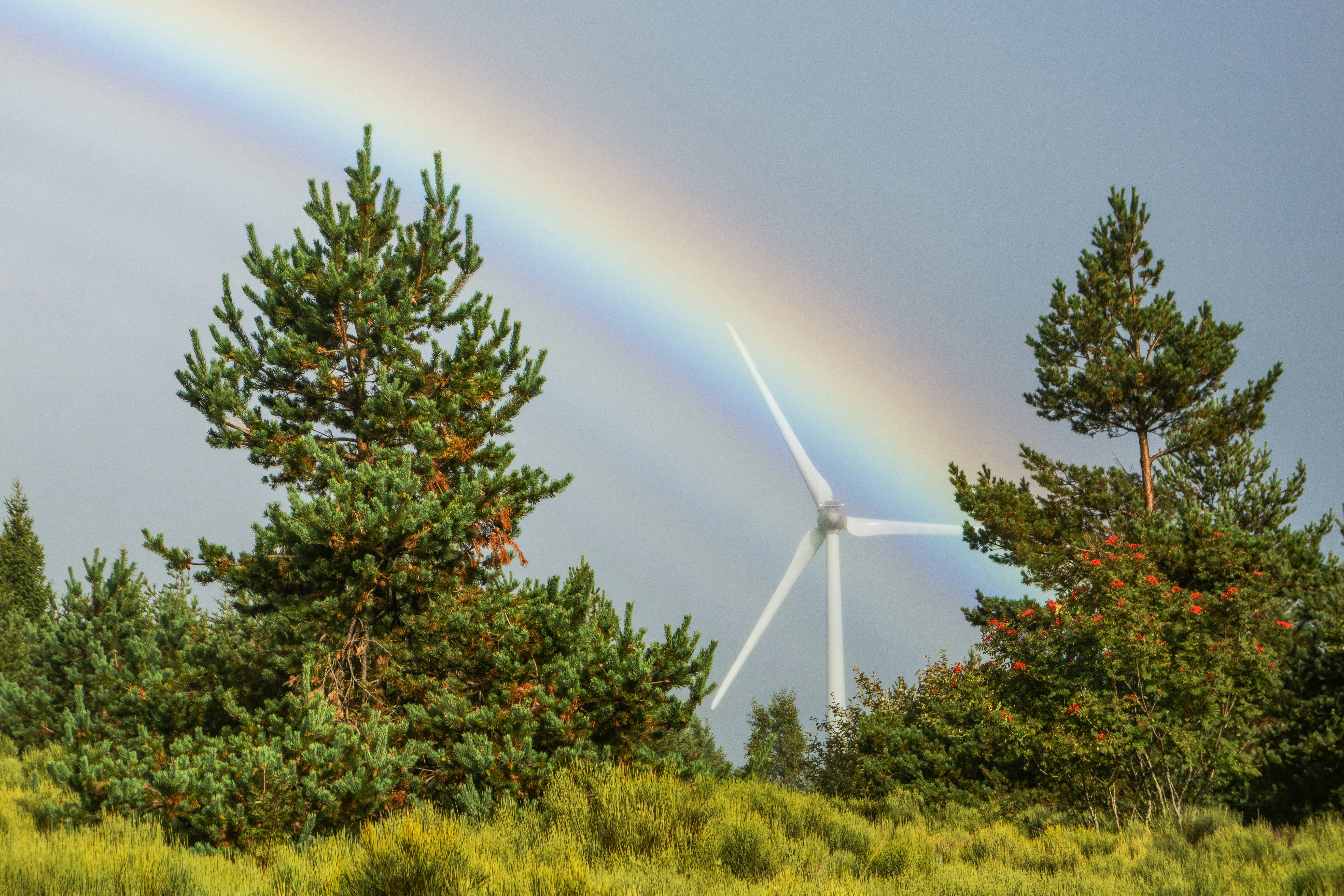 Harmony of Nature and Technology Under a Rainbow