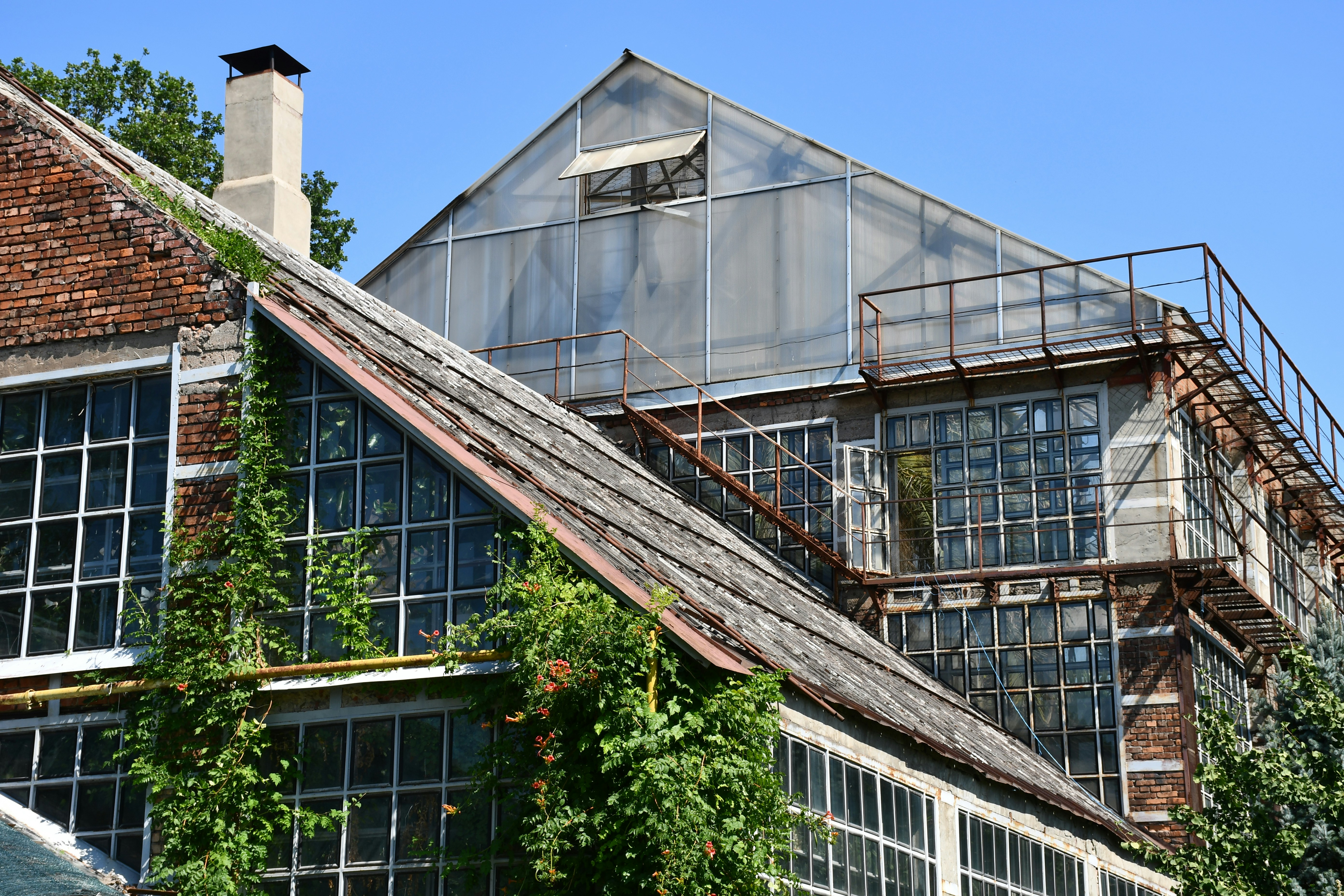 Ivy-Clad Glasshouse: Weathered Brick and Rails Under a Clear Sky
