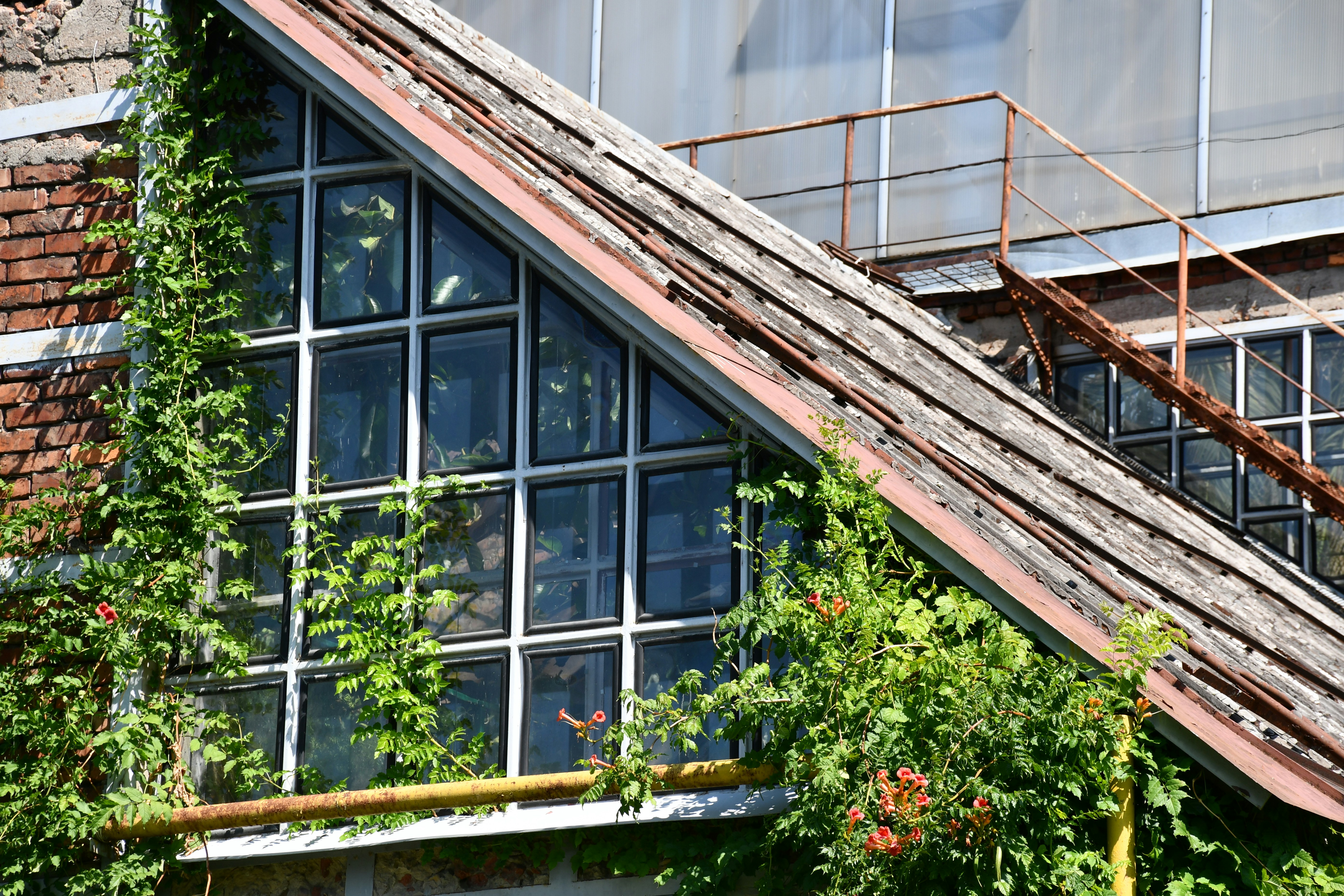 Ivy-Framed Glass Triangle on a Weathered Roof