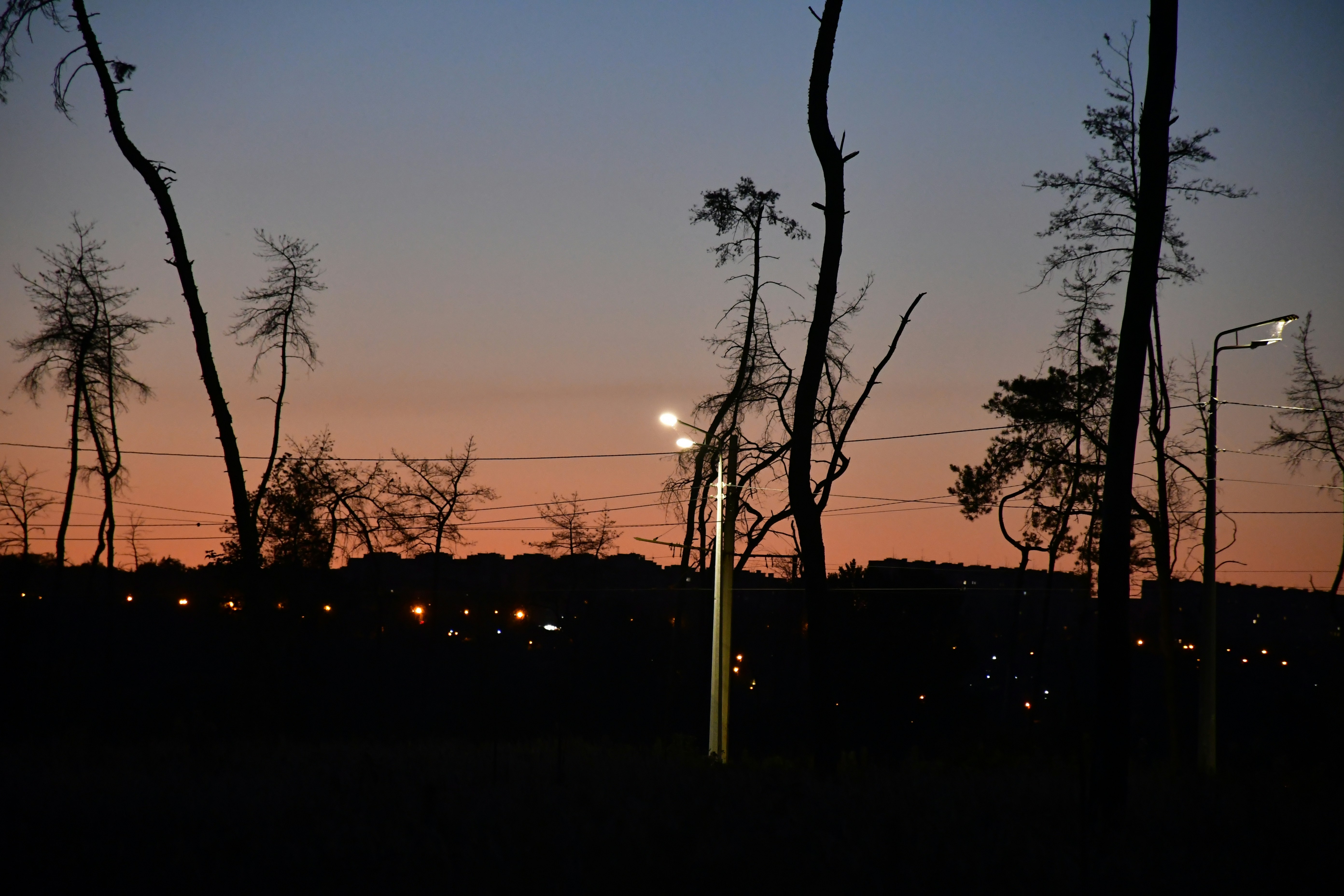 Twilight's Embrace: A Serene Urban Landscape