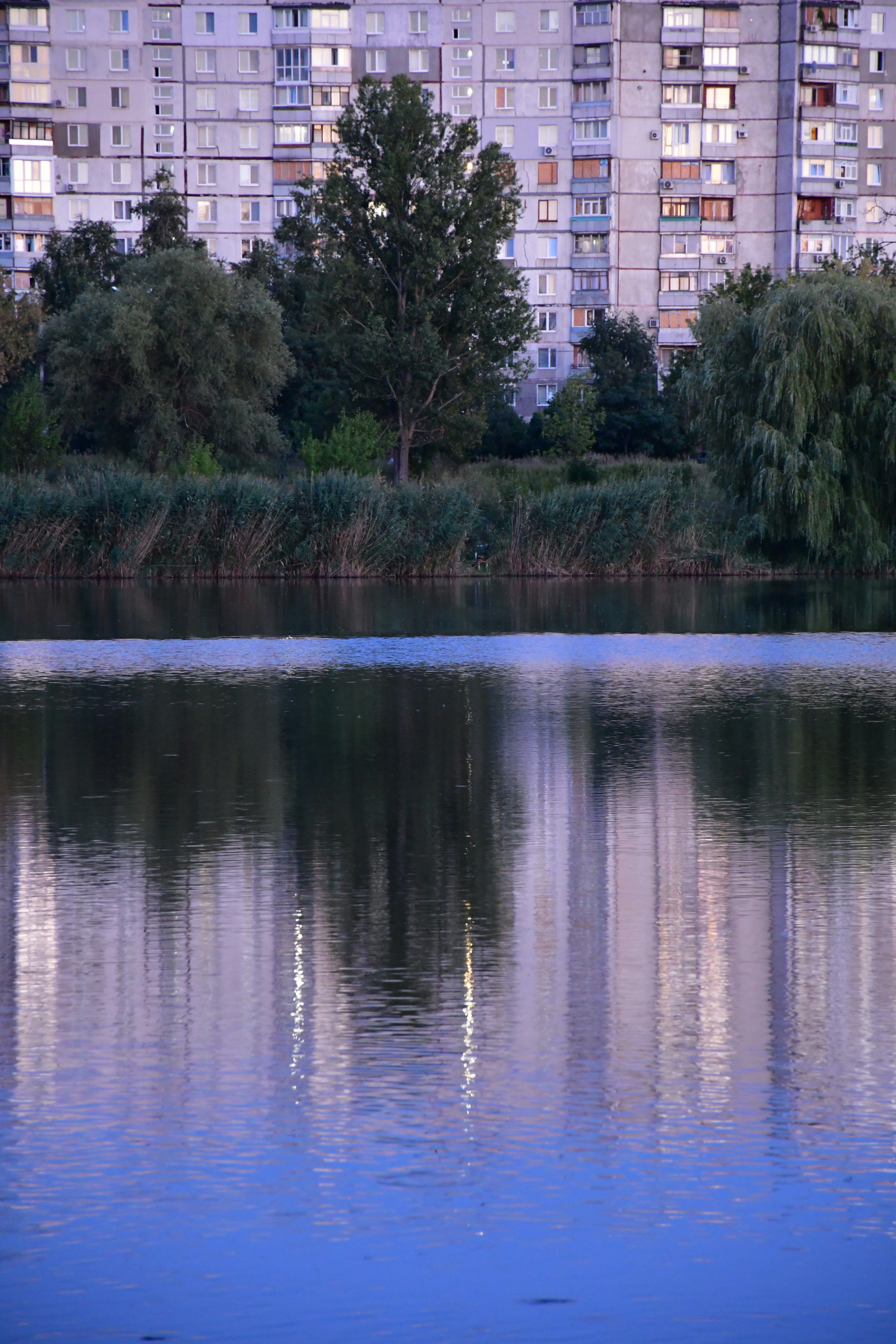 Reflections of Urban Serenity