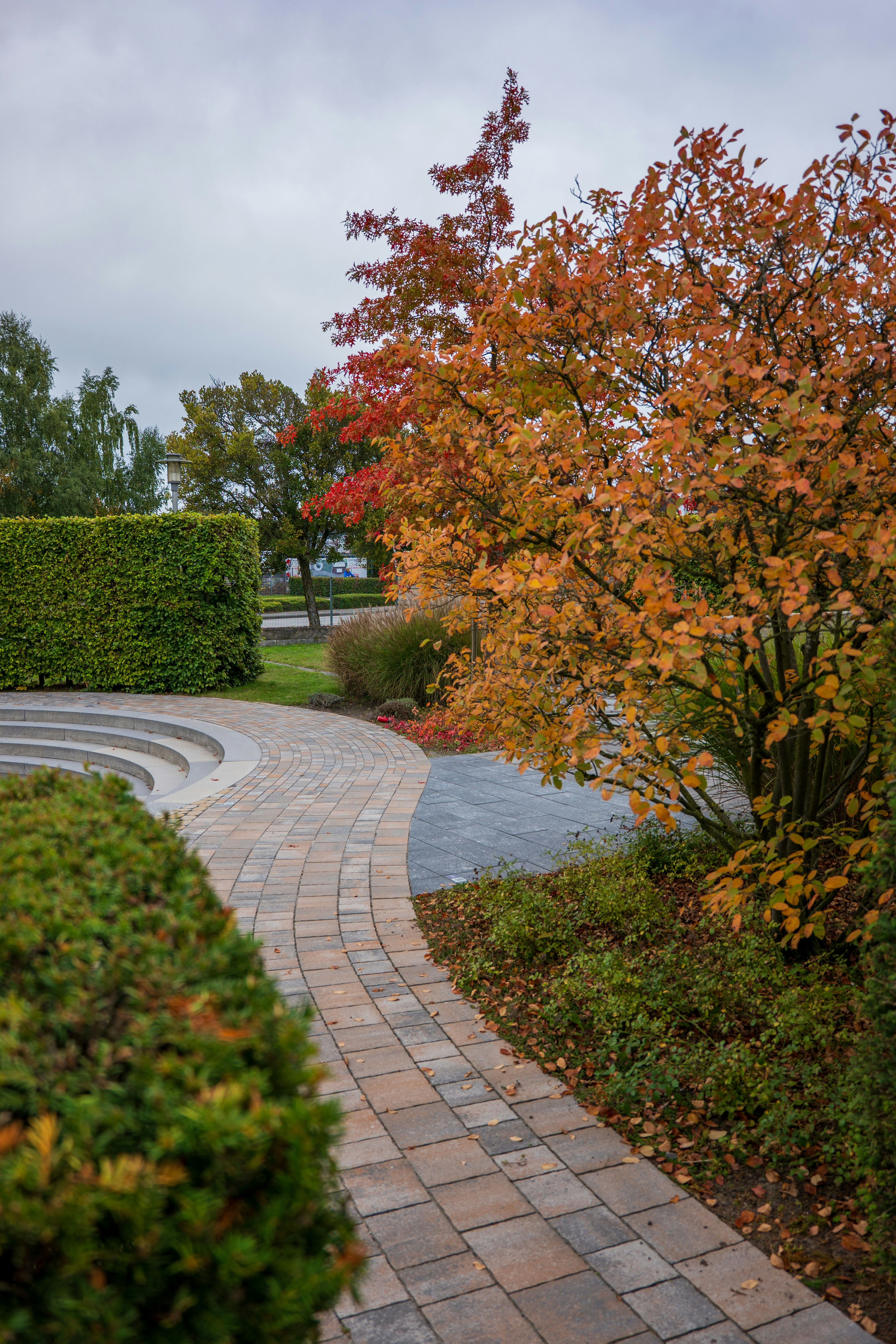 Autumn's Gentle Embrace in a Serene Garden