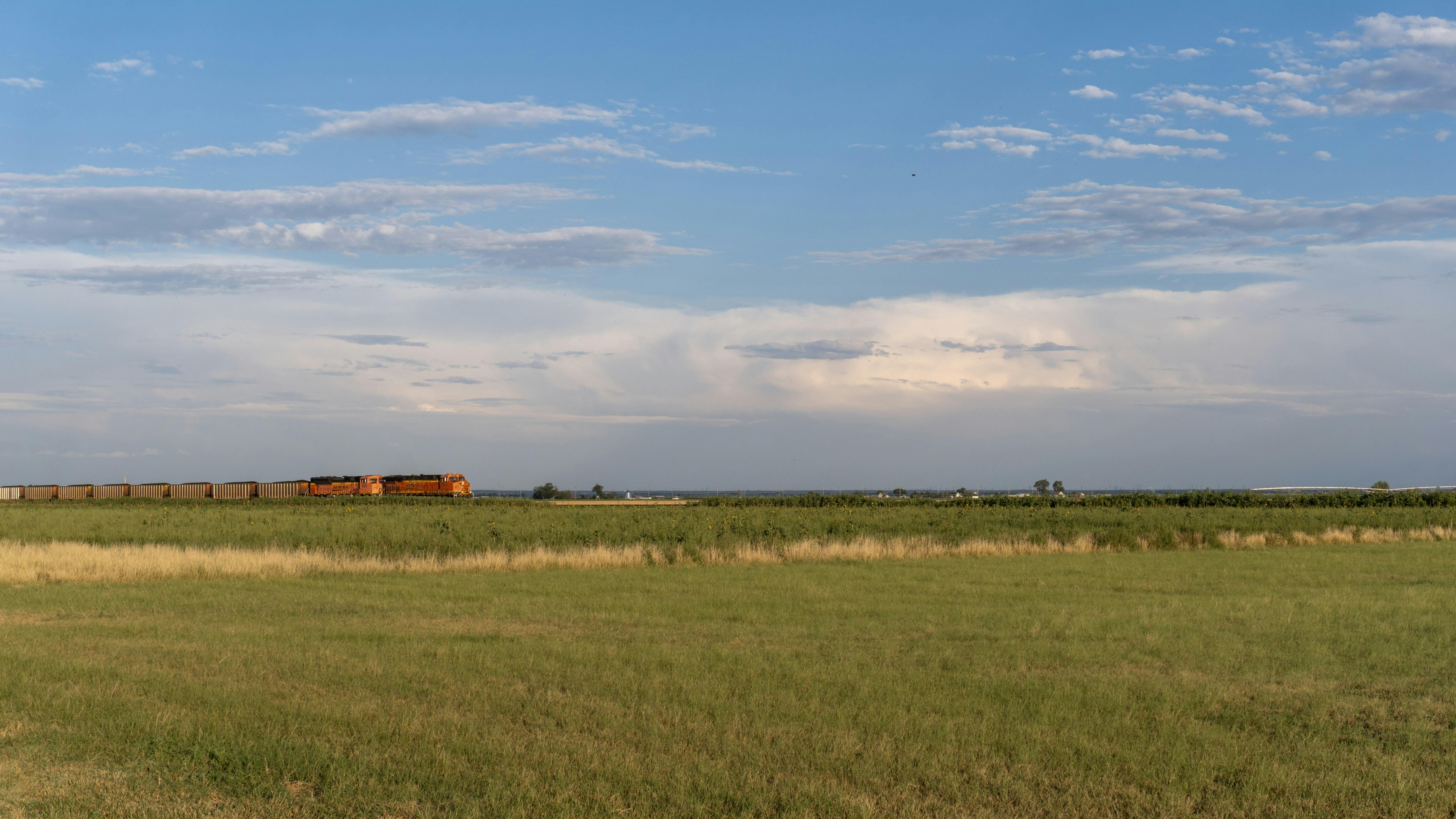 Freight train traversing expansive grasslands under a vast sky, showcasing the beauty of rural landscapes.