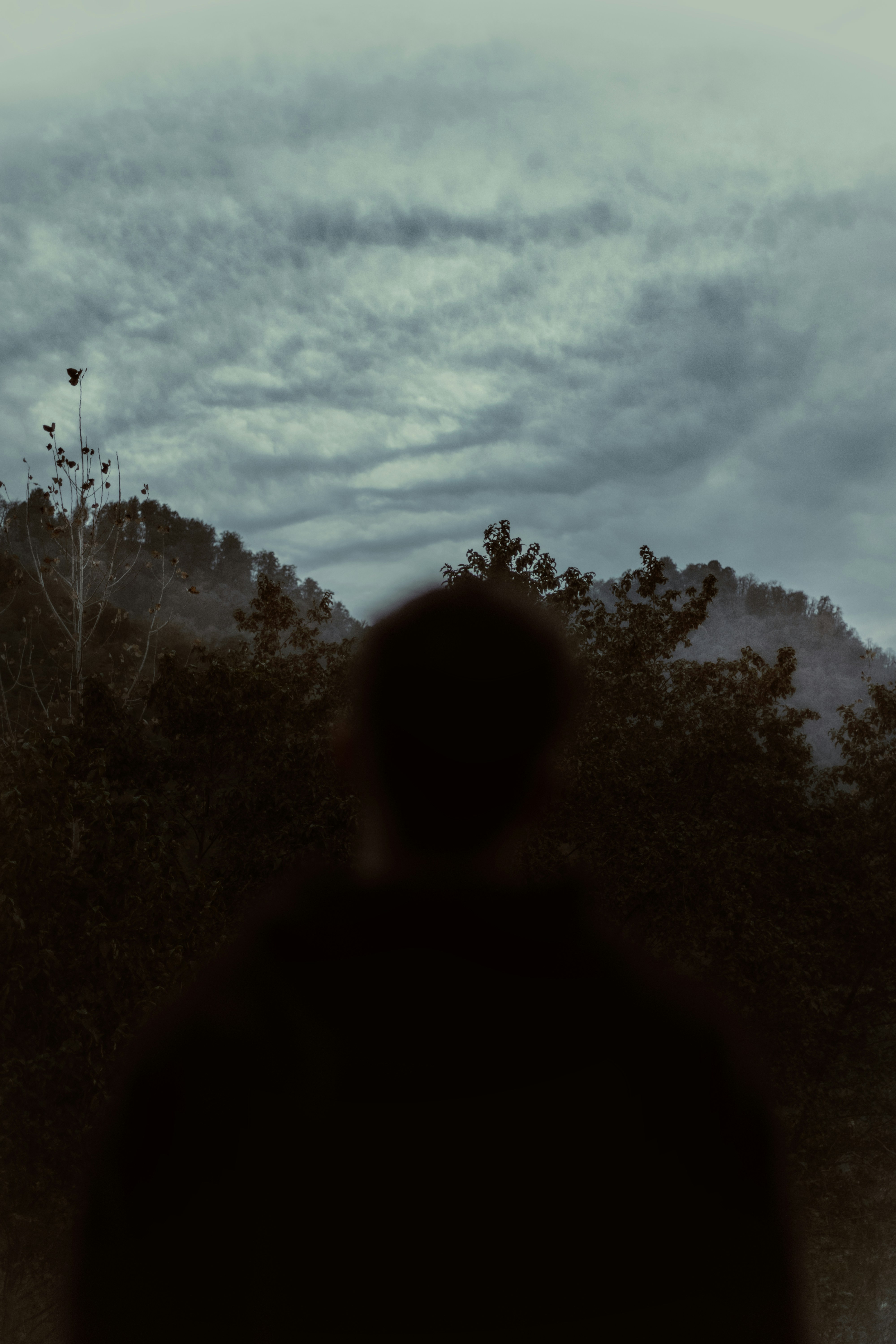 Silhouette of a figure gazing at a moody sky, framed by dark foliage and distant mountains. A moment of introspection captured in nature's embrace.