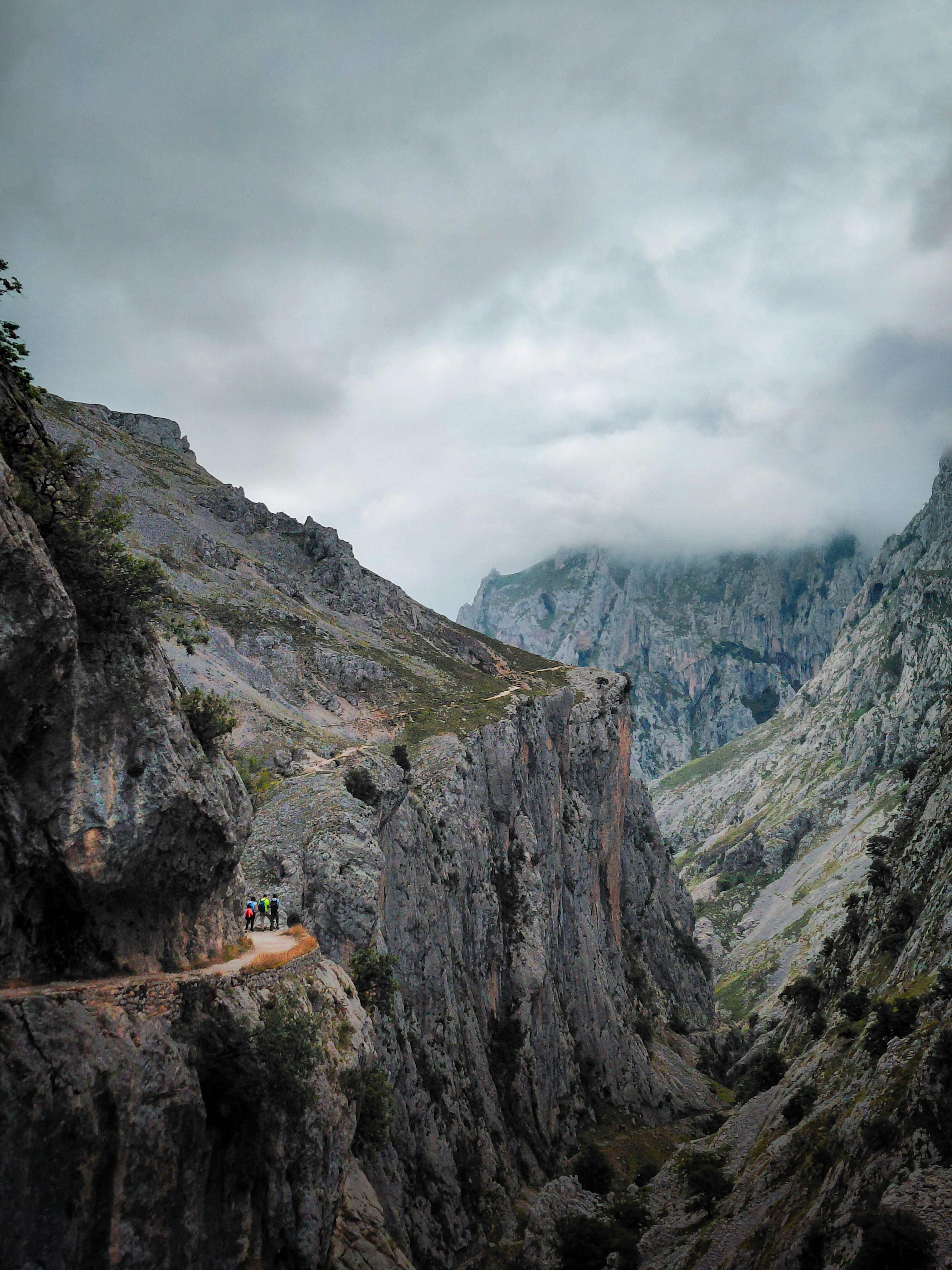 Sample photo from Samsung Galaxy A36