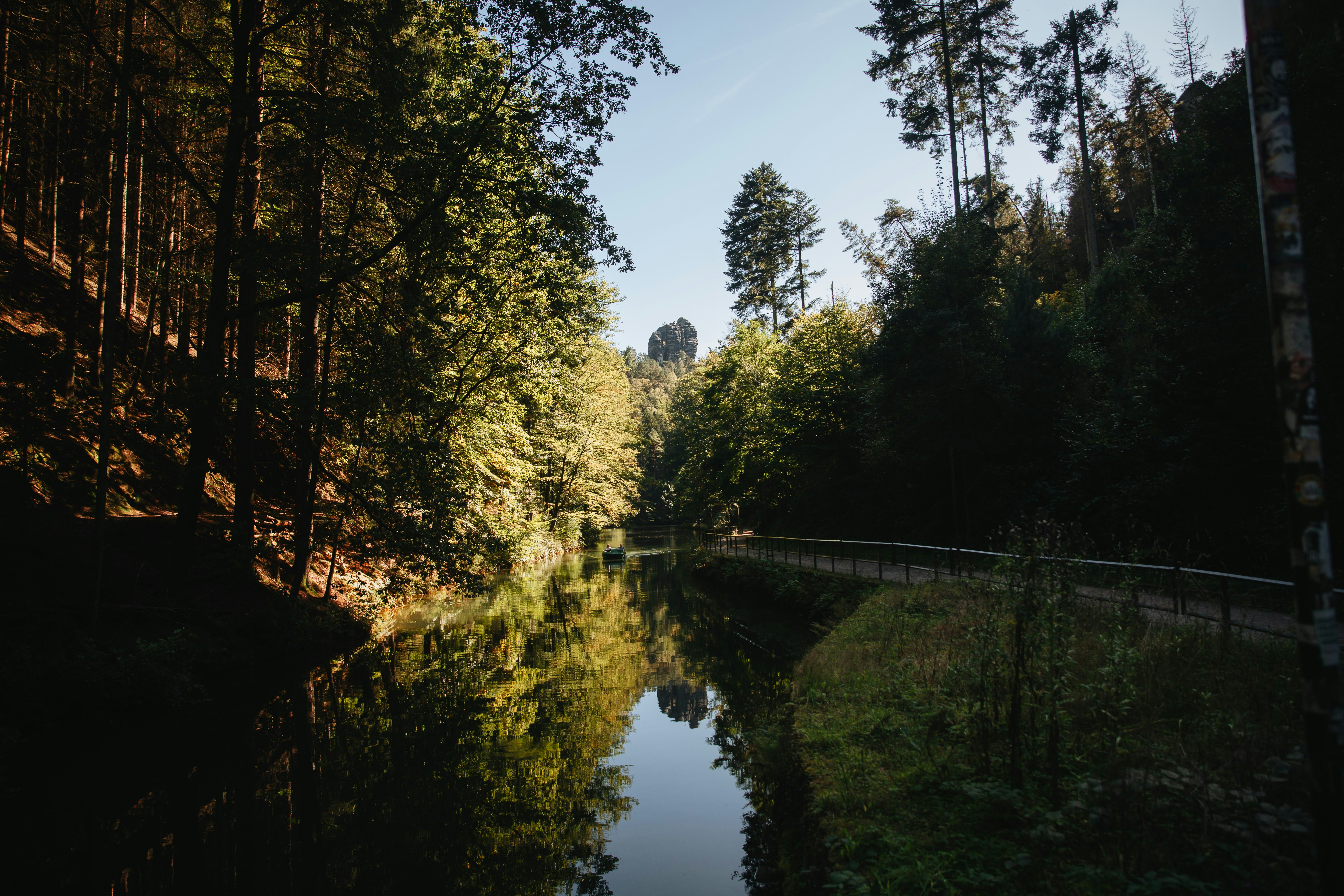 Calm lake reflecting trees and sky in forest