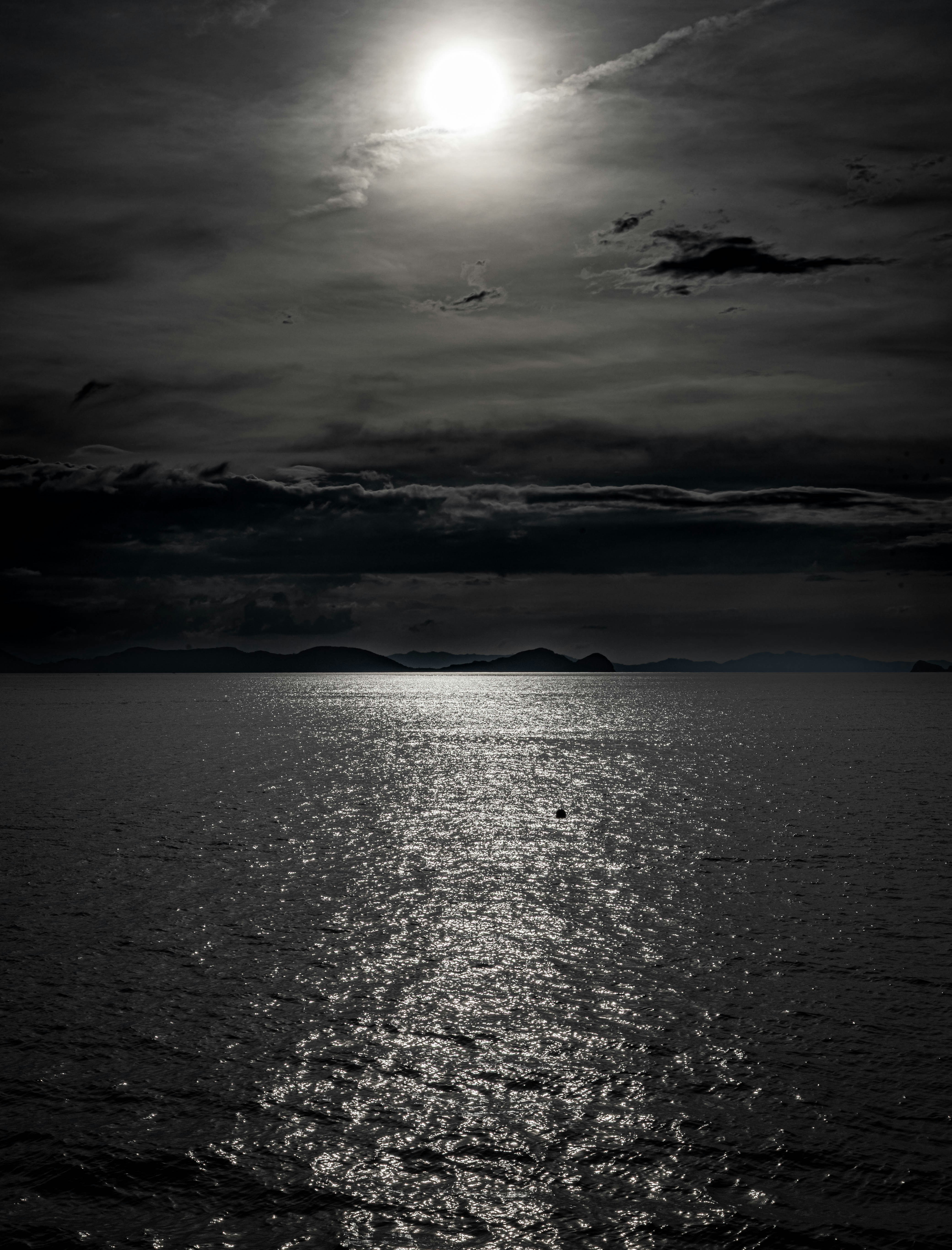 Whispers of Twilight: A Moonlit Sea