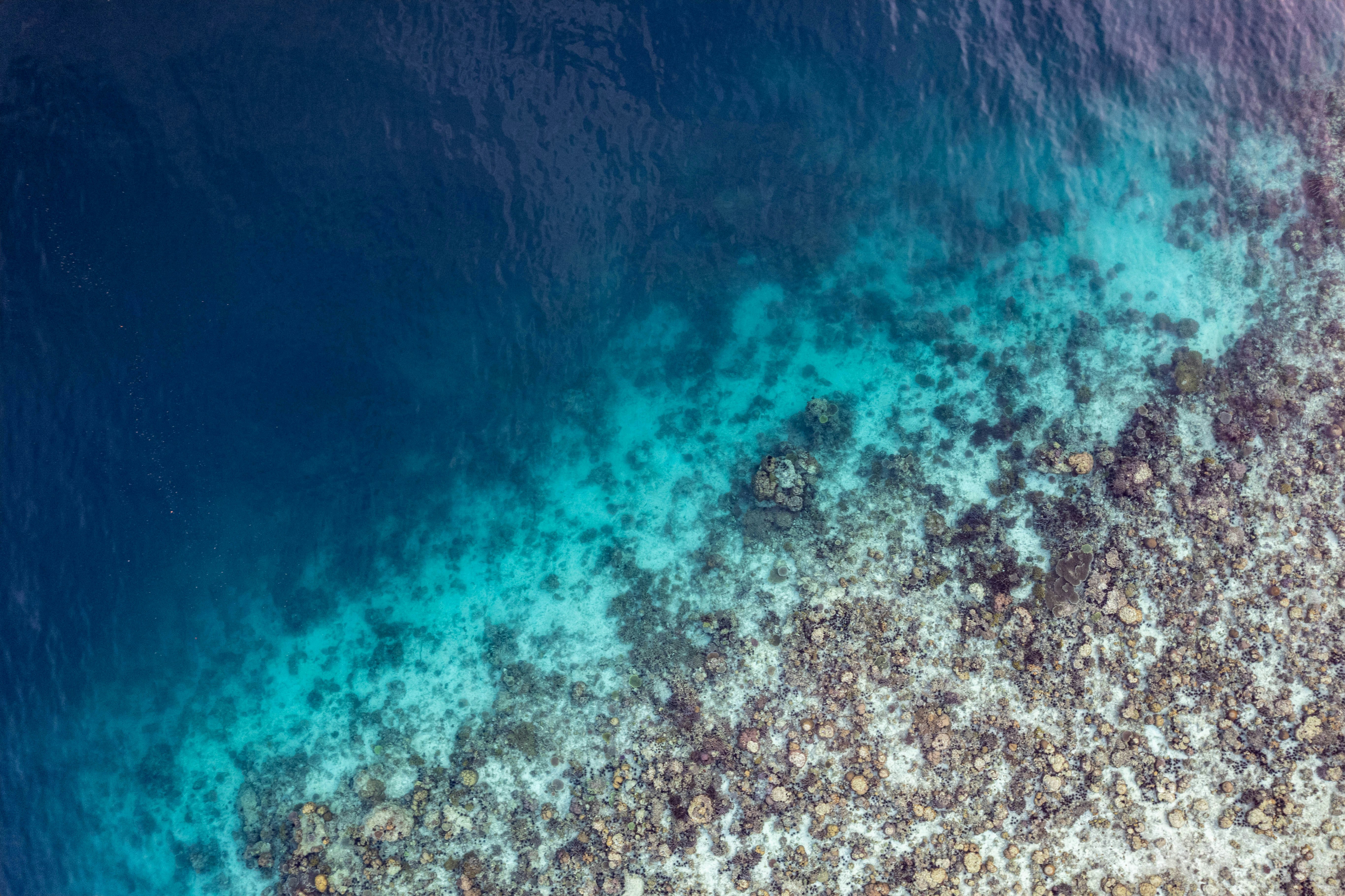 Aerial view of a coral reef and deep blue ocean