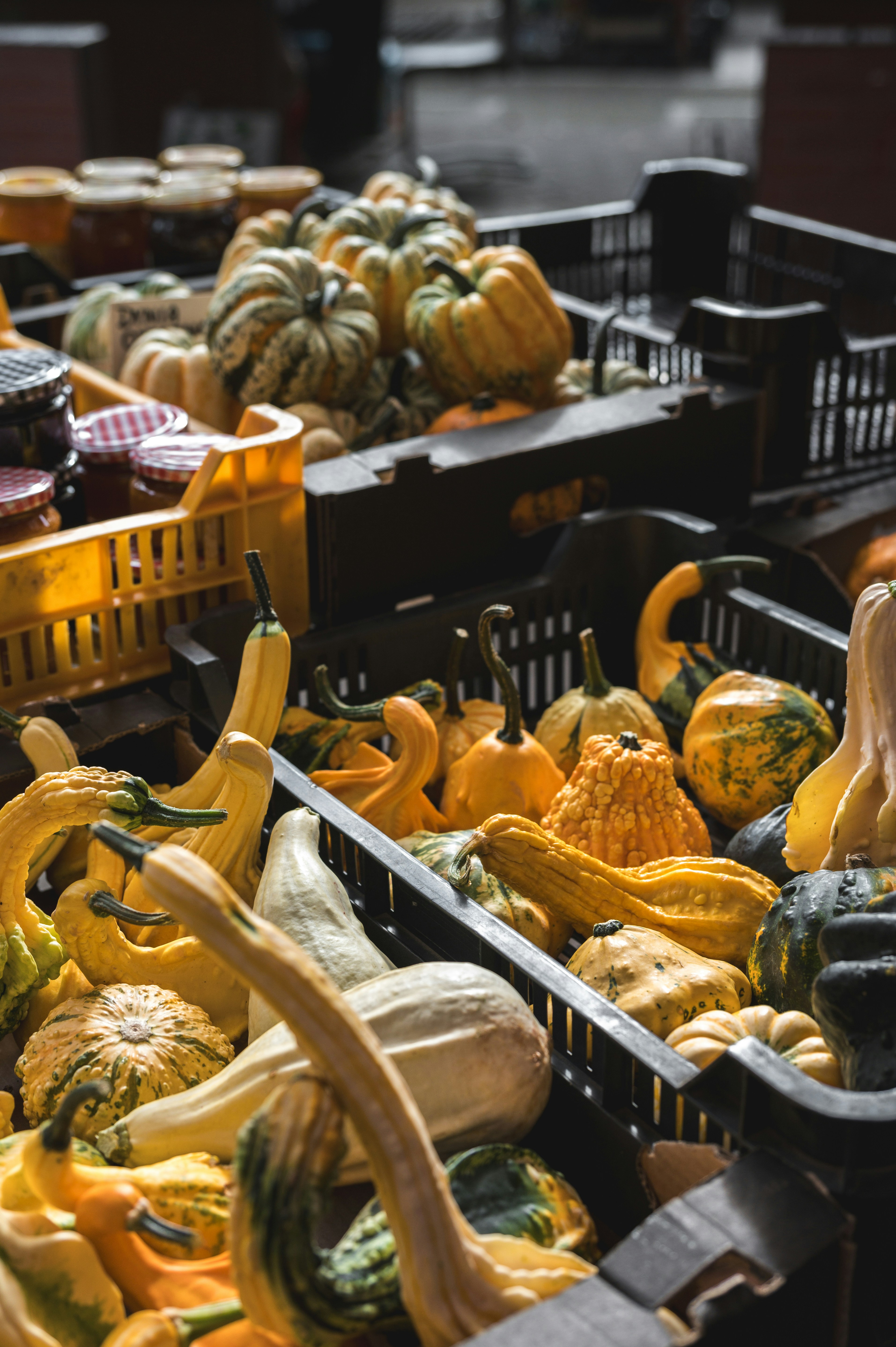Harvest Harmony: A Tapestry of Autumn's Bounty