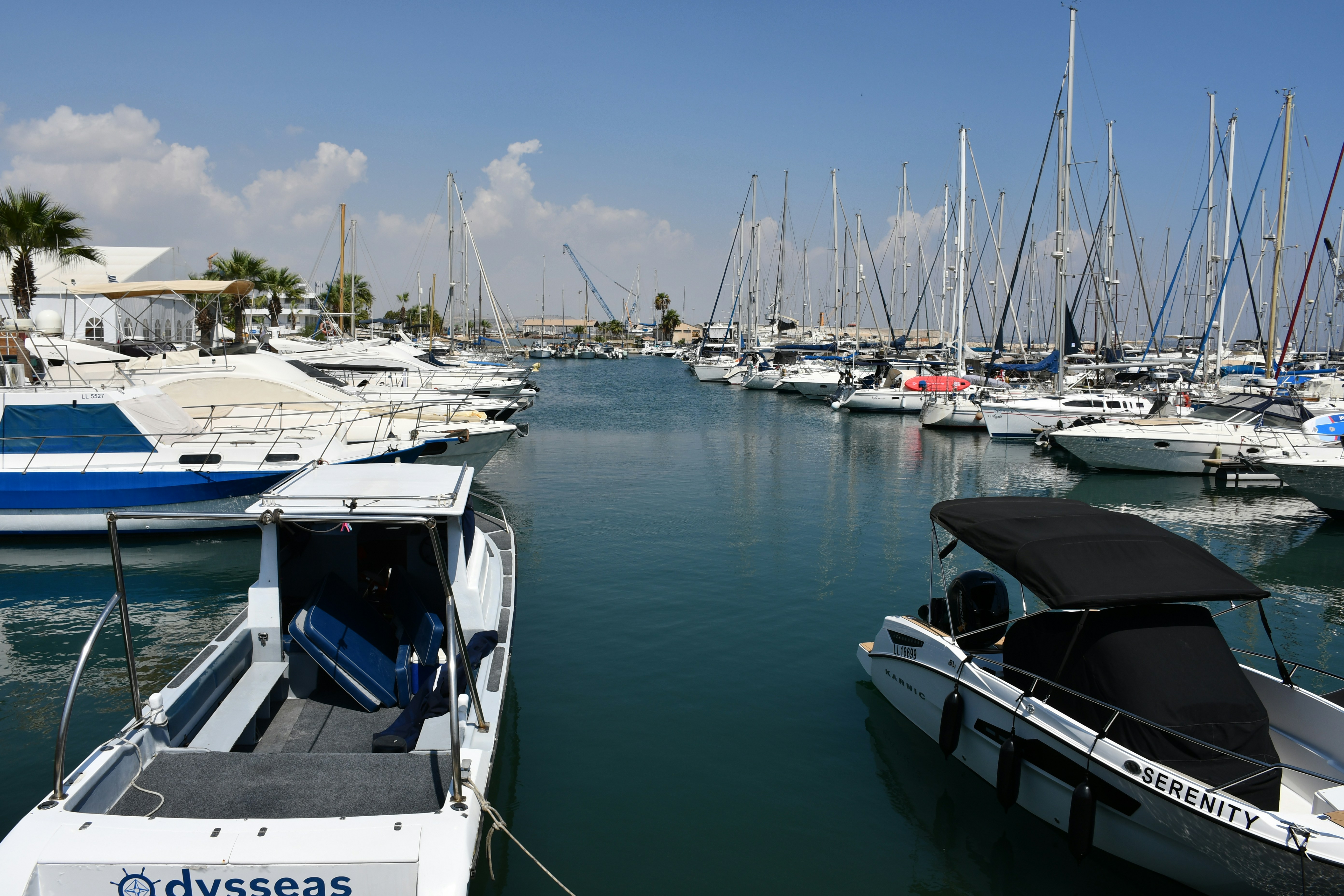 Harbor Harmony: A Day Among the Yachts