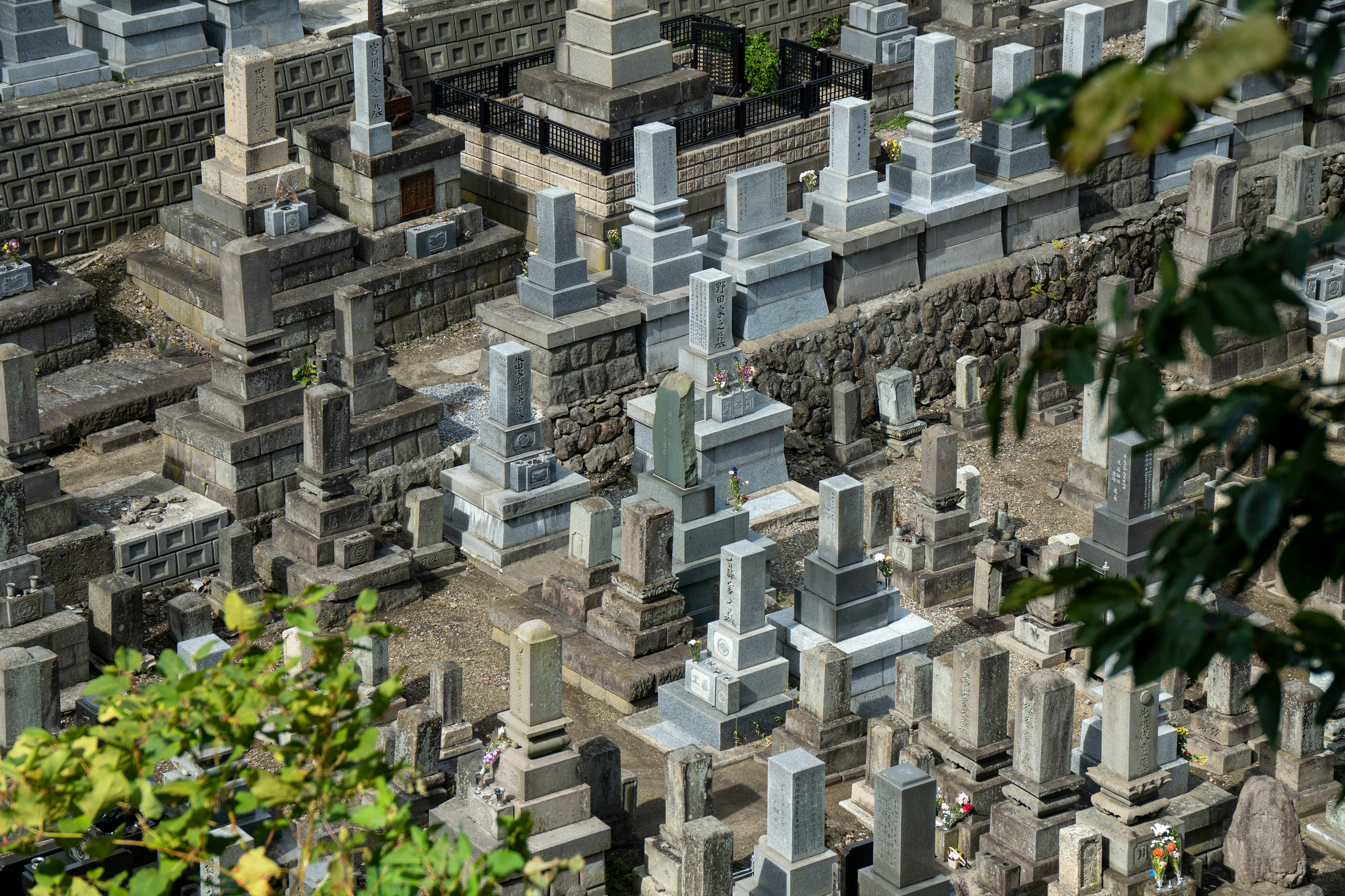 Silent Echoes of Time: A Cemetery's Story