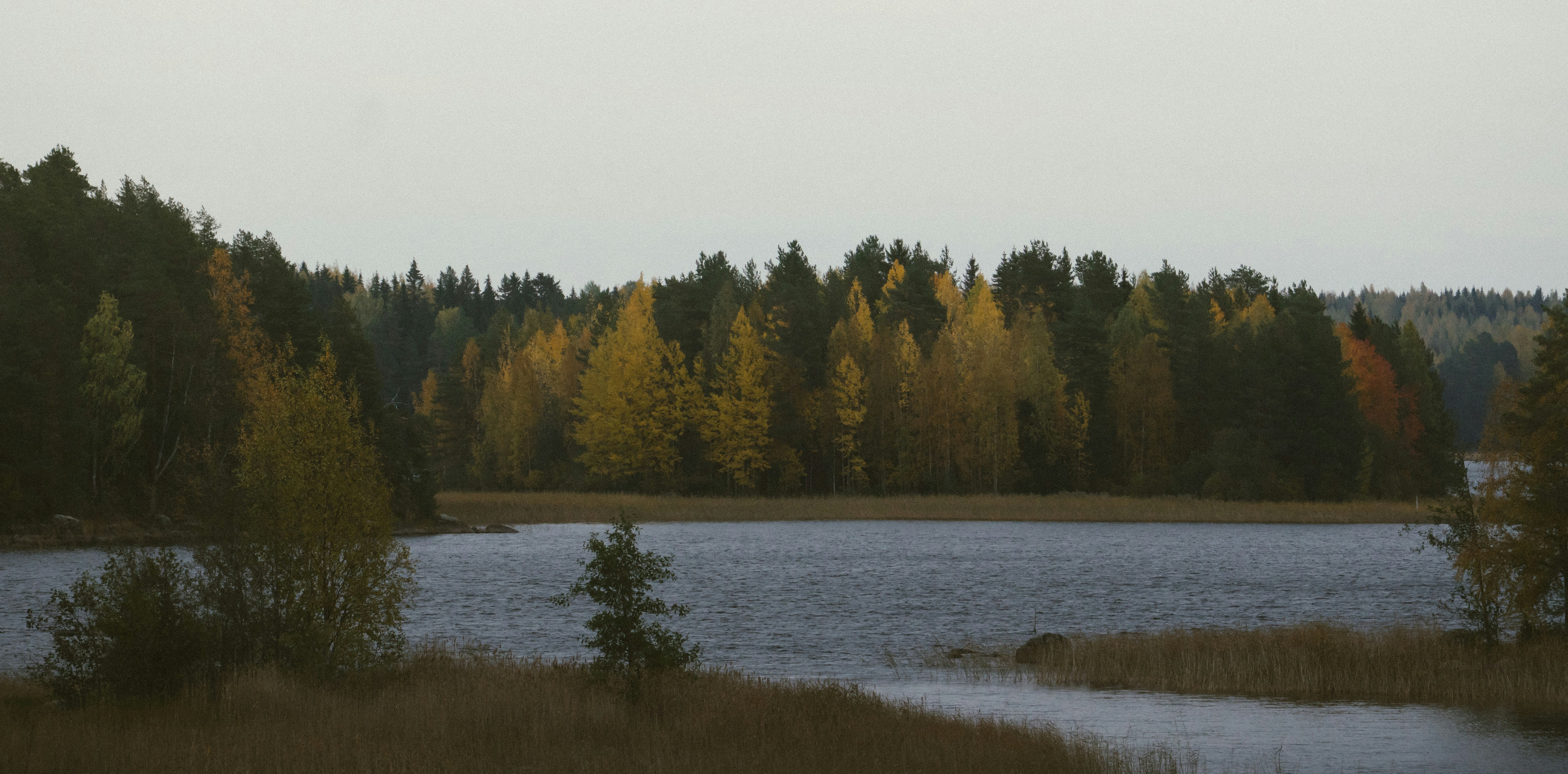 Autumn's Embrace: A Serene Lakeside Retreat