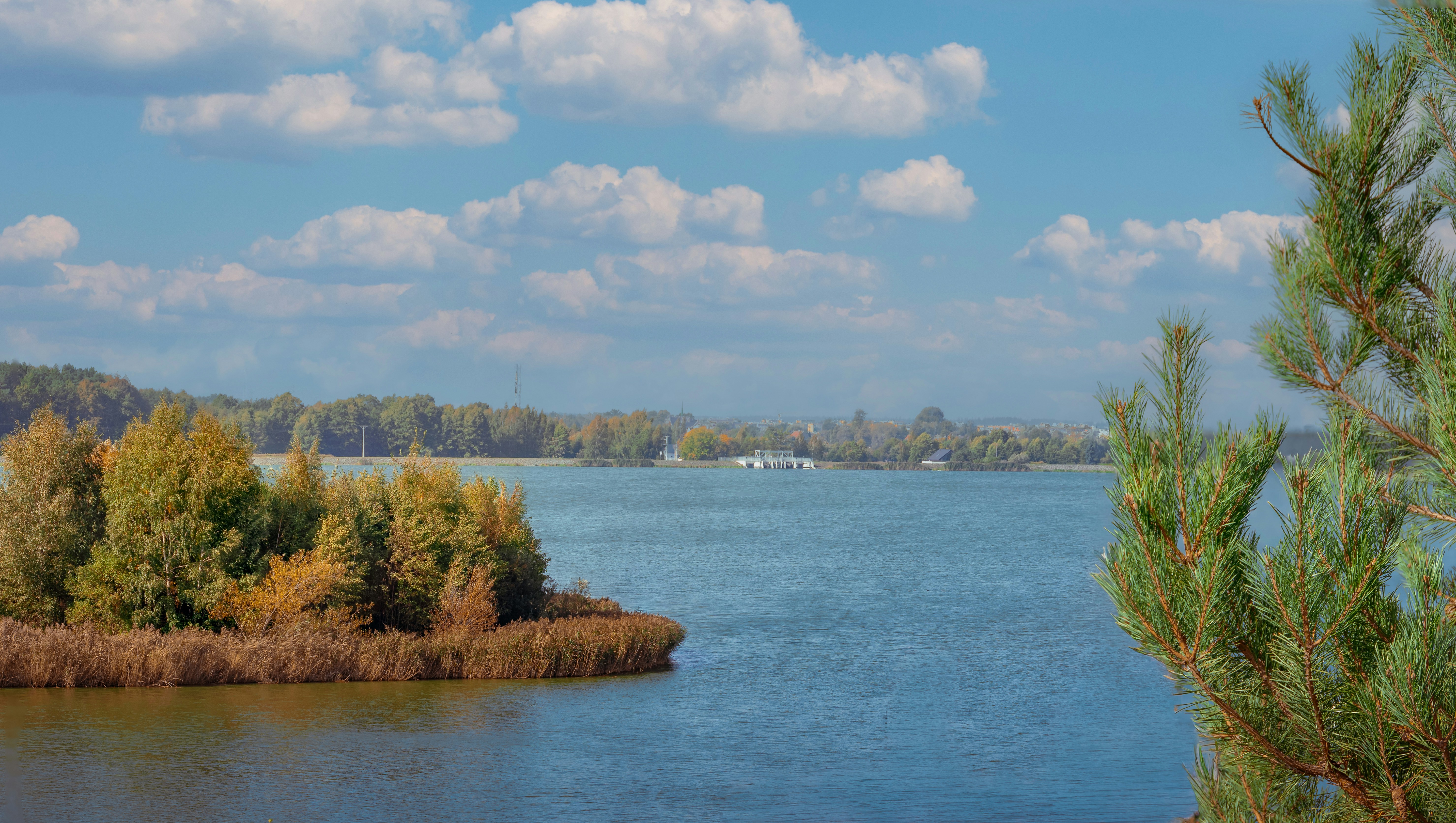Serenity at Water's Edge