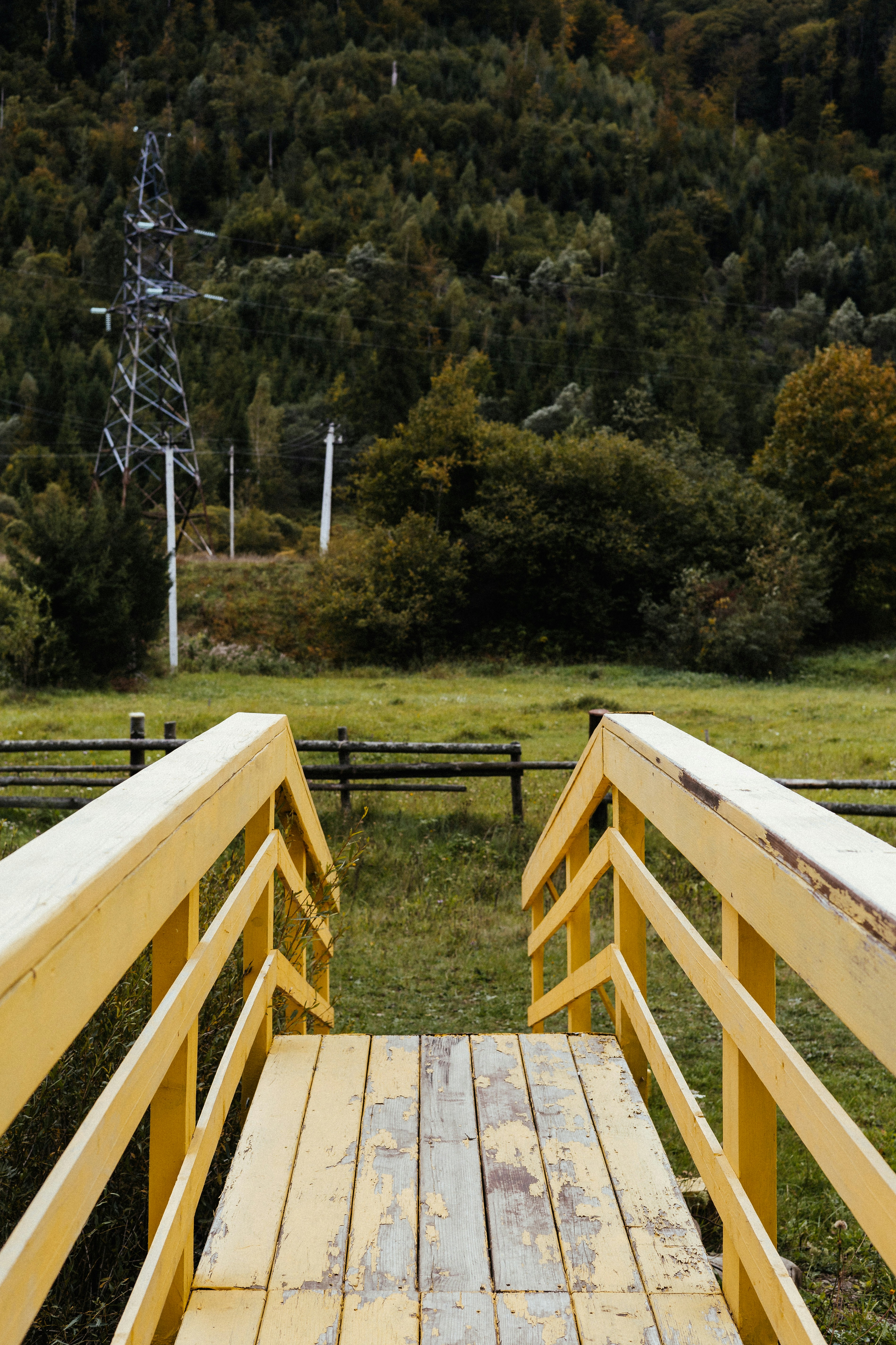 The Rustic Bridge to Nature's Embrace