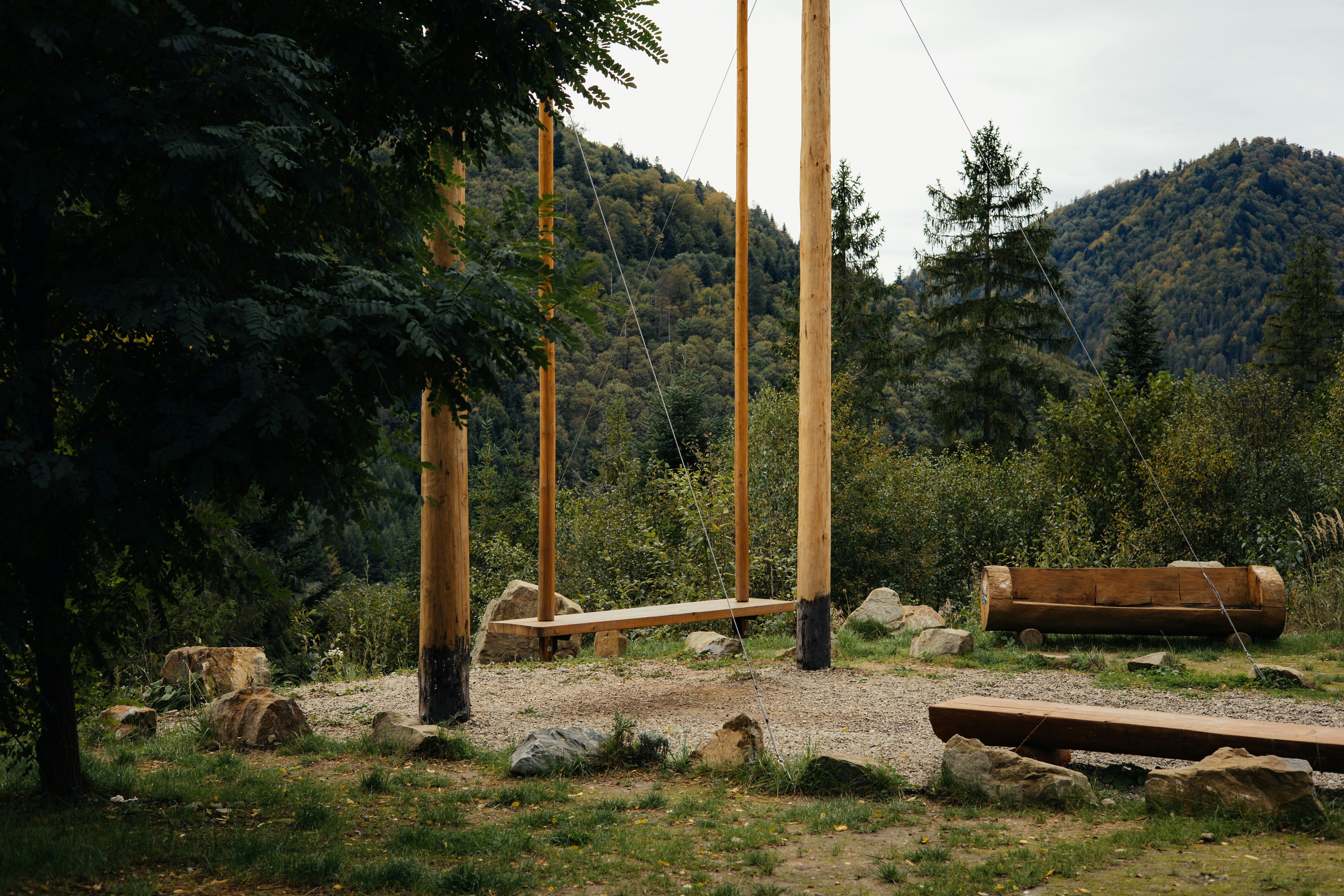 Nature's Playground: A Rustic Swing Set in the Wilderness