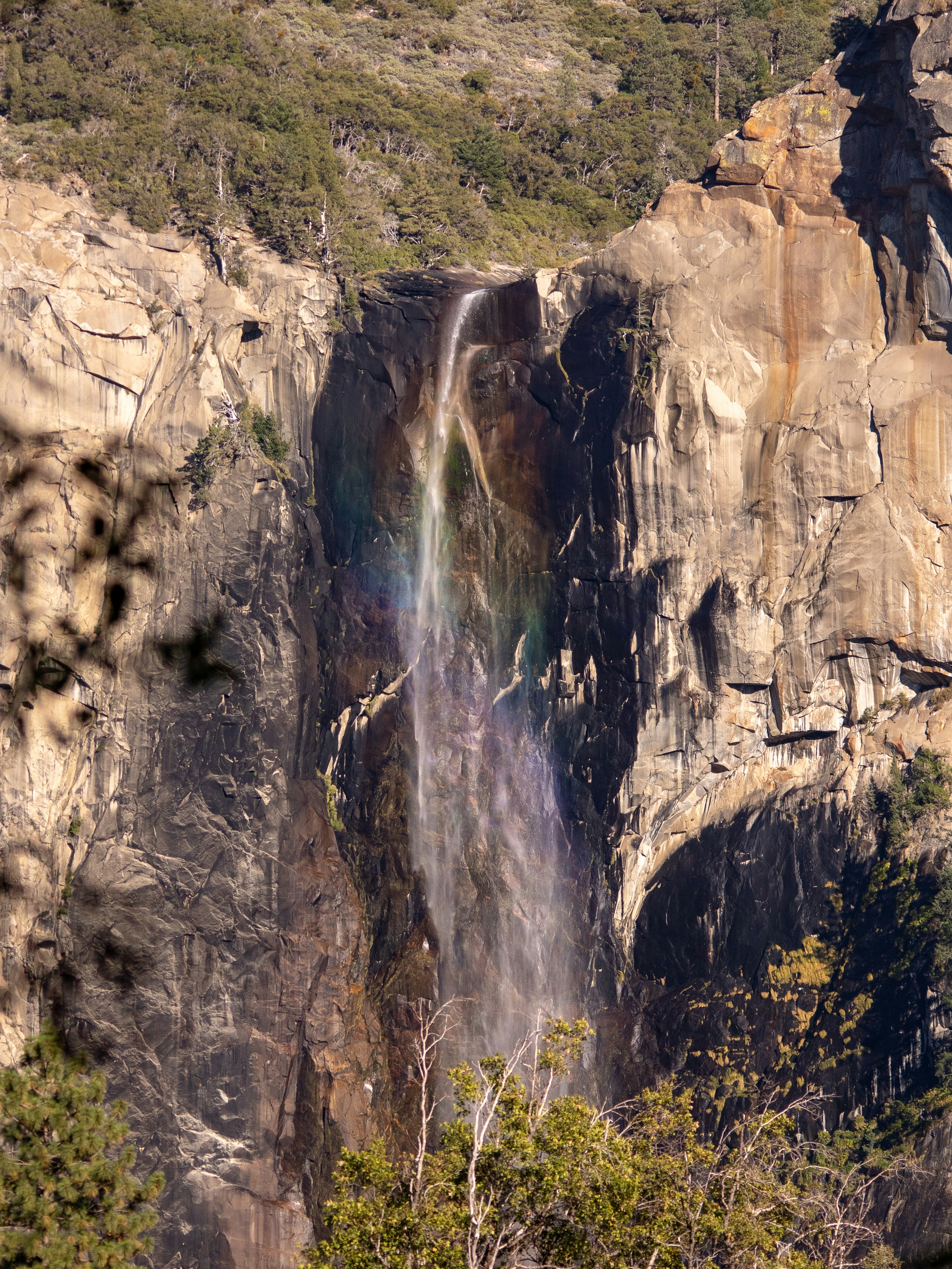 Rainbow Veil on Granite: Sunlit Cascade Amid Cliffside Pines