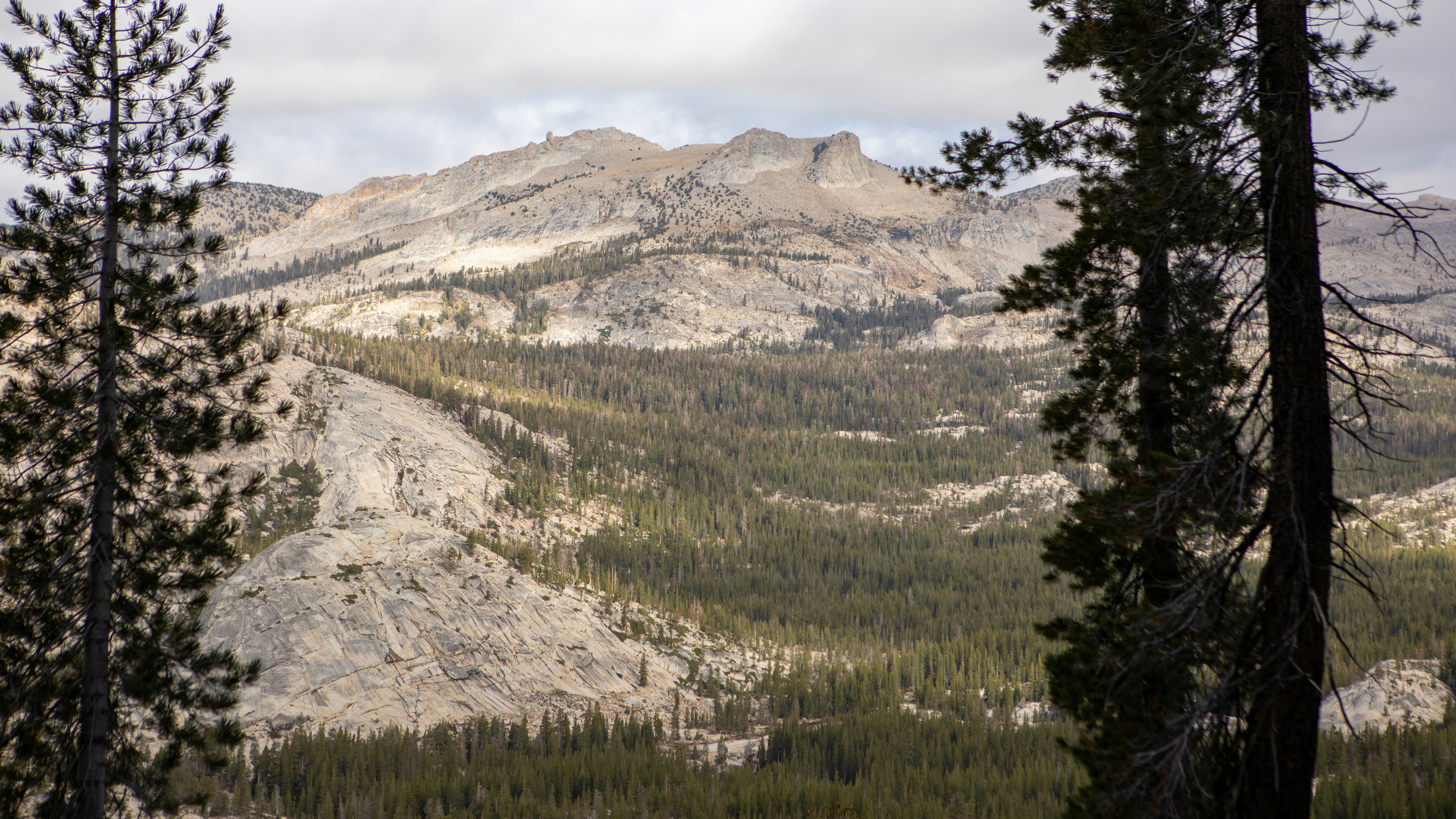 Whispers of the Sierra: A Mountain's Embrace