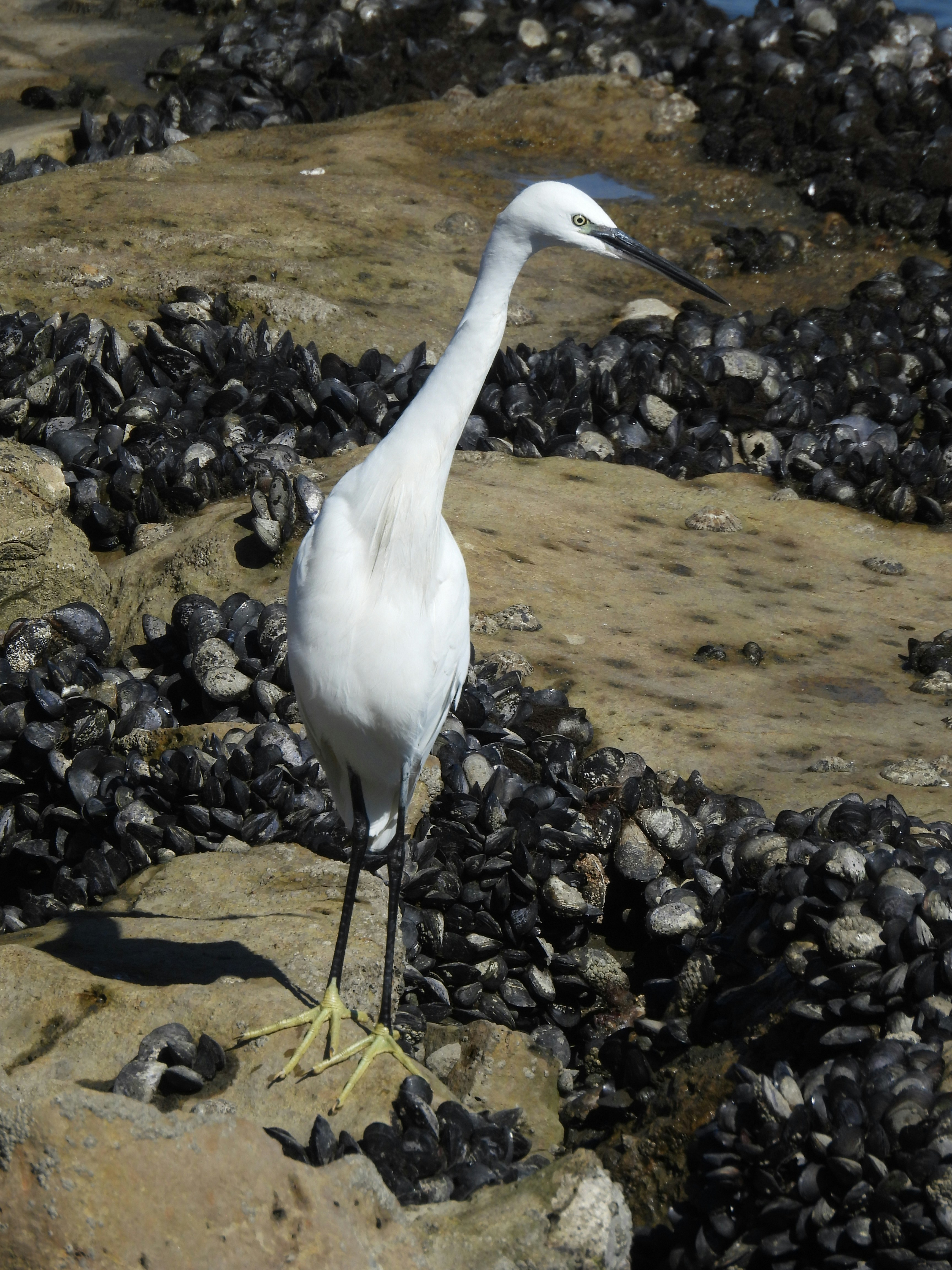 Photo by Anastasiya Dragun with Nikon COOLPIX P950